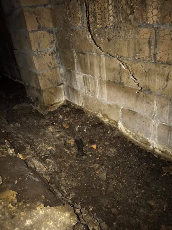 Solved: How to stop water ingress under house th... | Bunnings Workshop ...