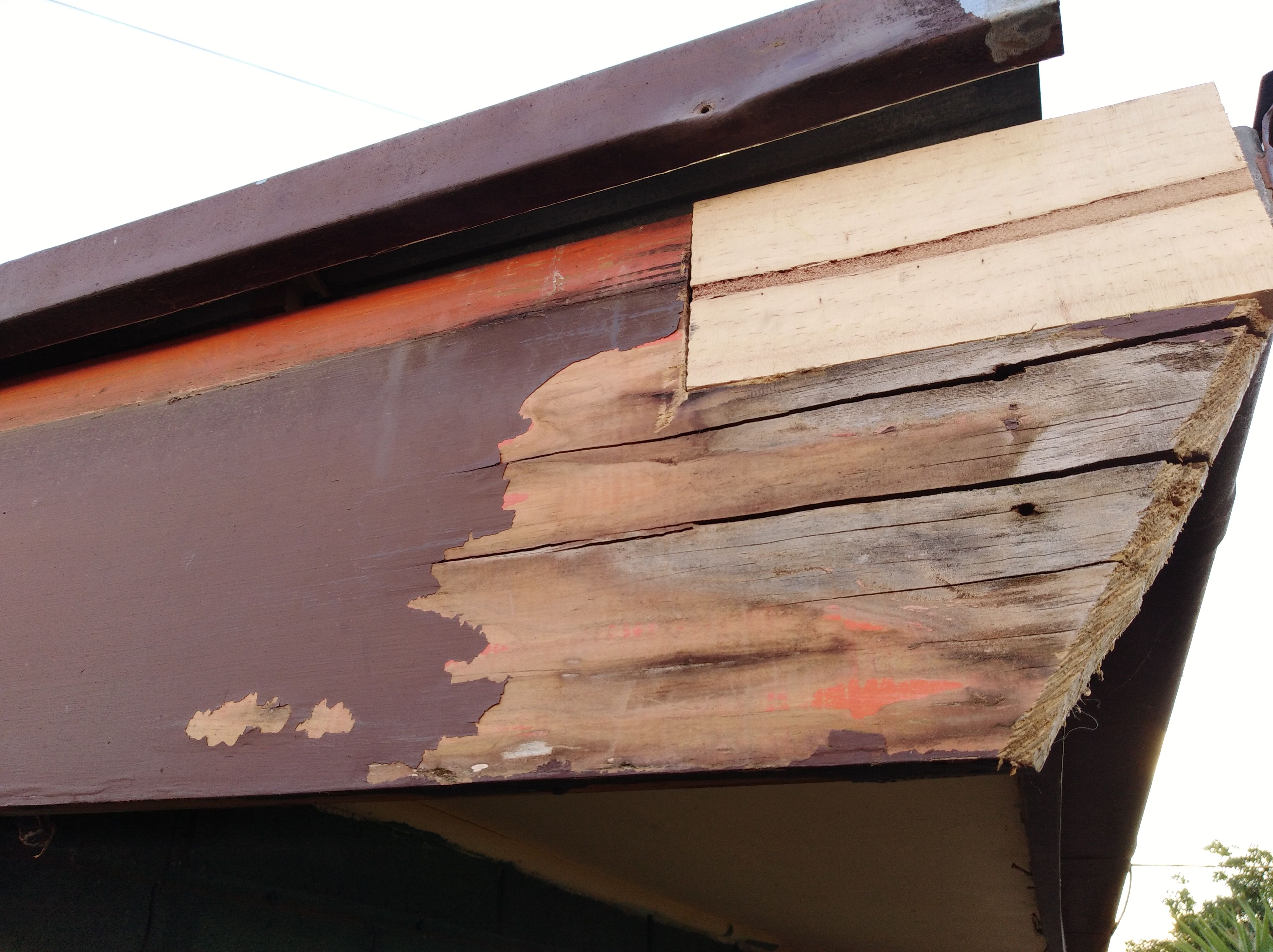 Fascia board repair on a zero budget | Bunnings Workshop community