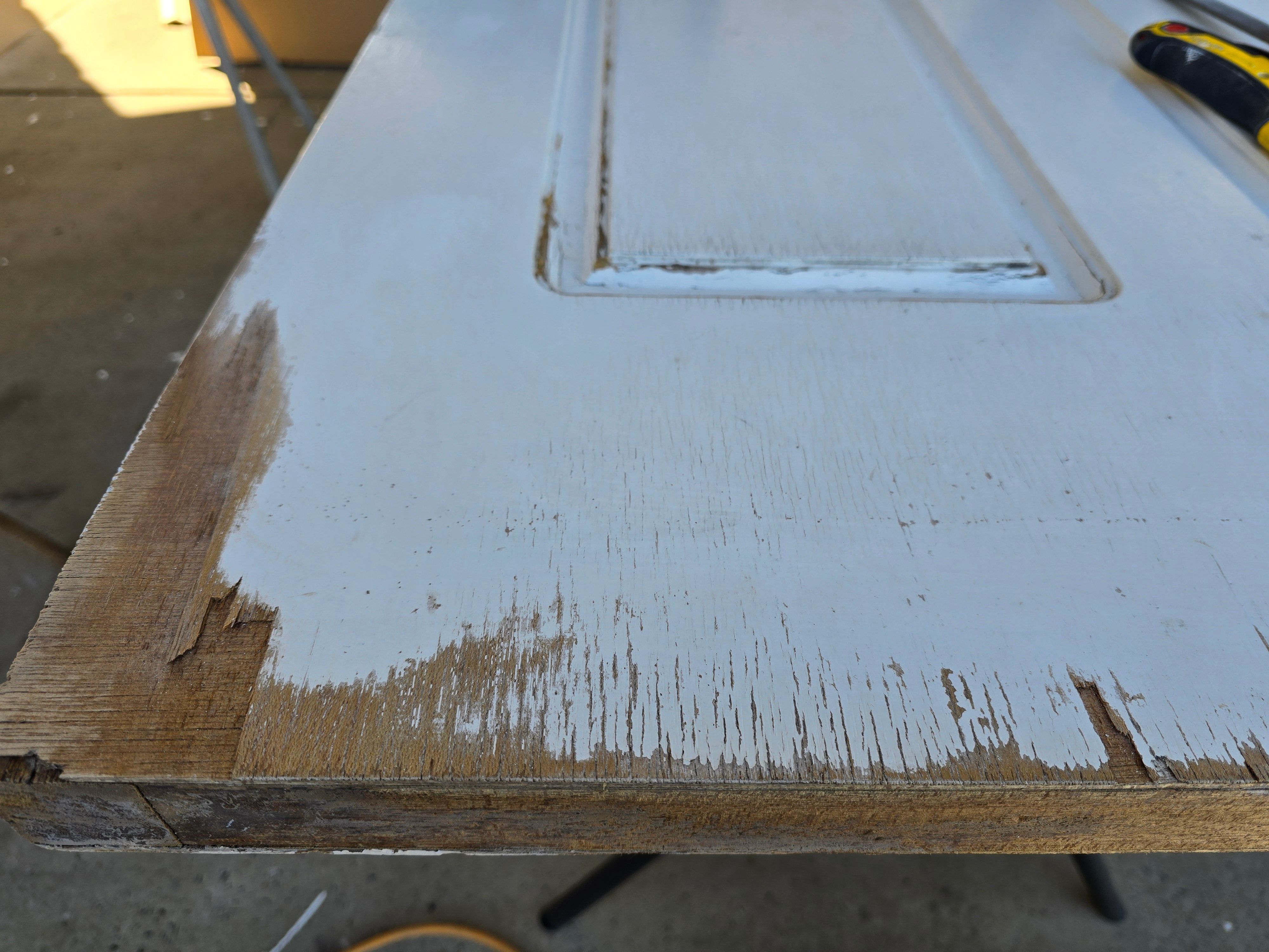 How to repair water damaged front door? | Bunnings Workshop community