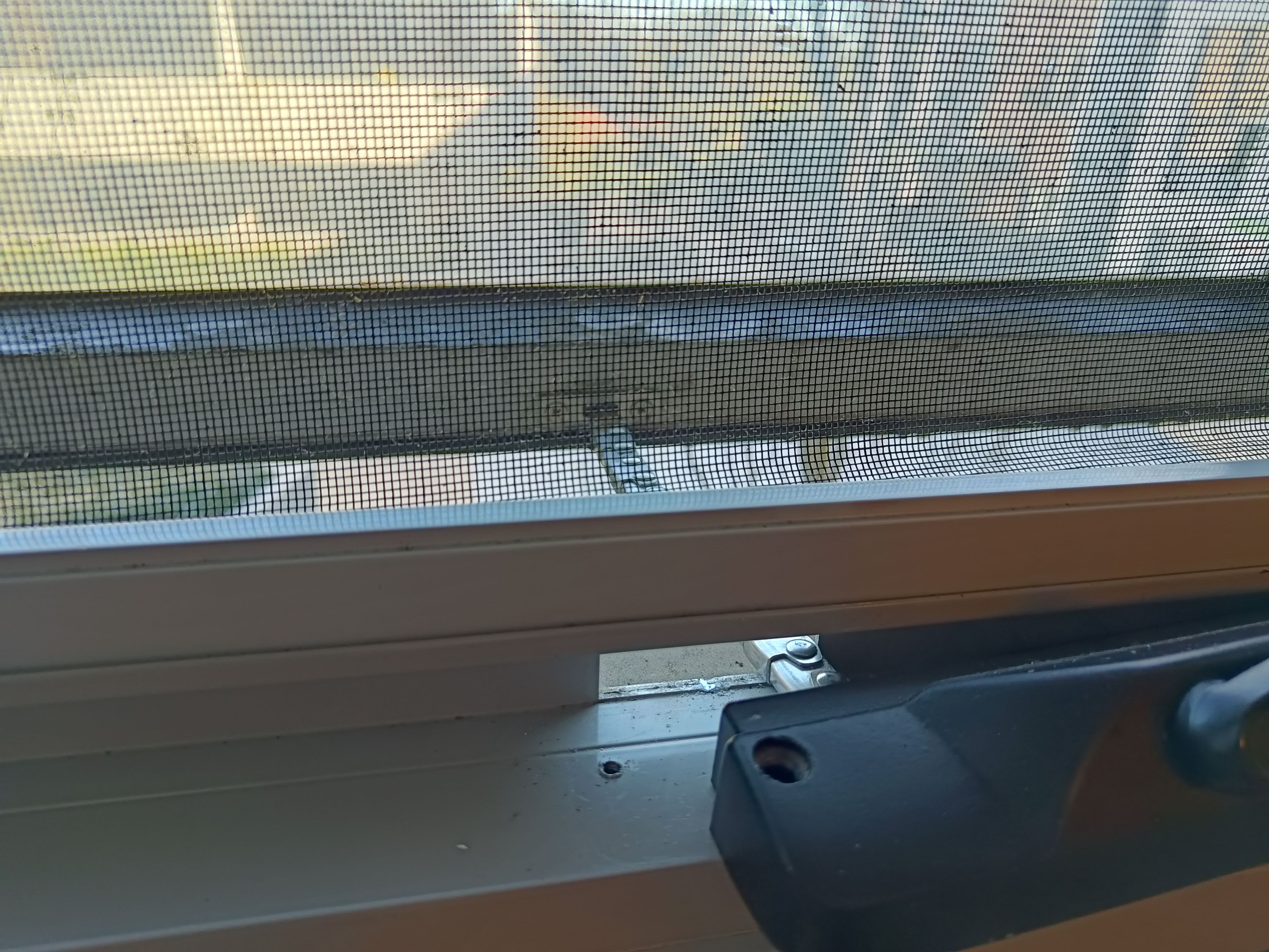 How to remove a window insect screen? | Bunnings Workshop community