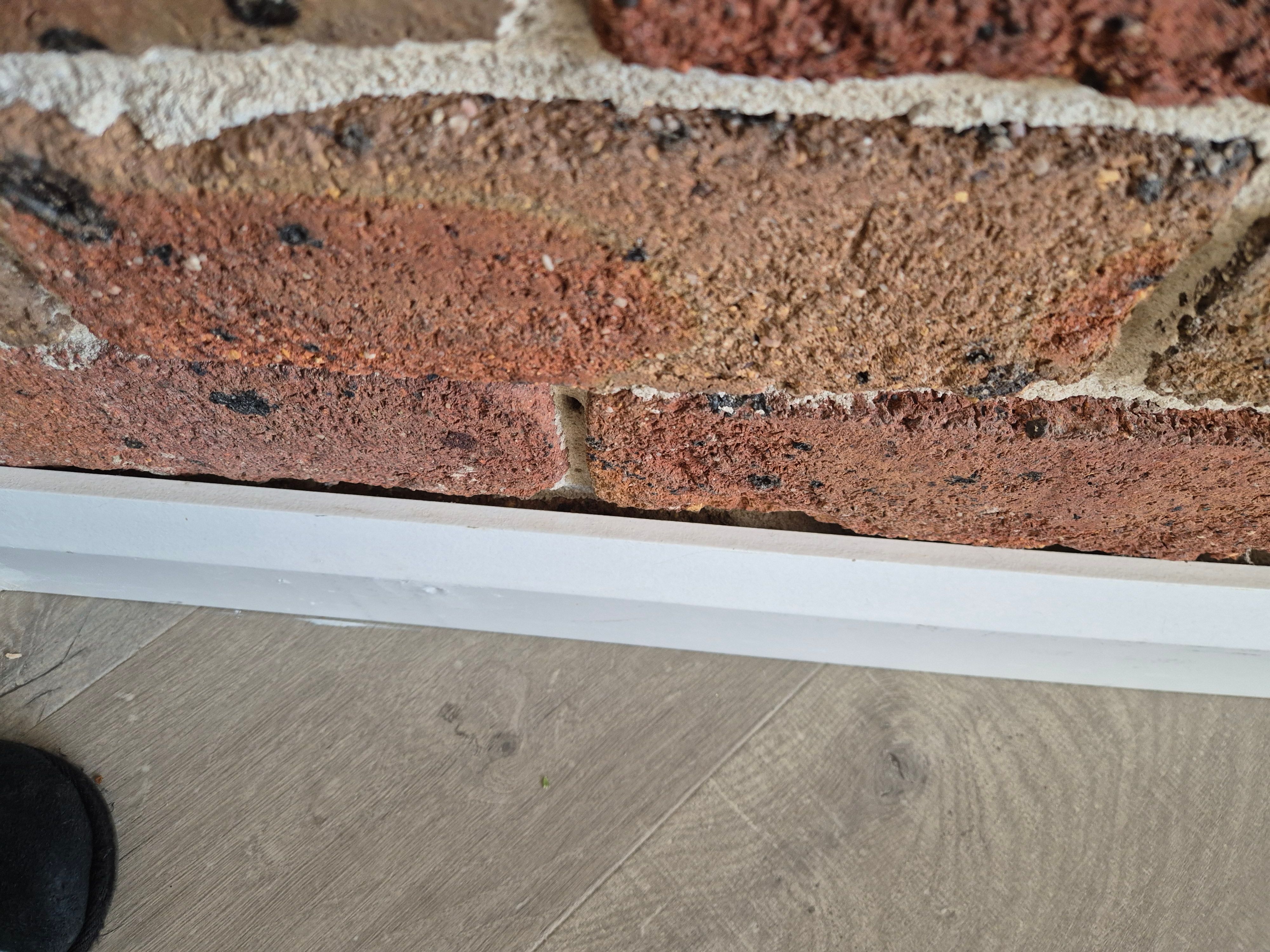 How to fill gaps between trim and brick? | Bunnings Workshop community