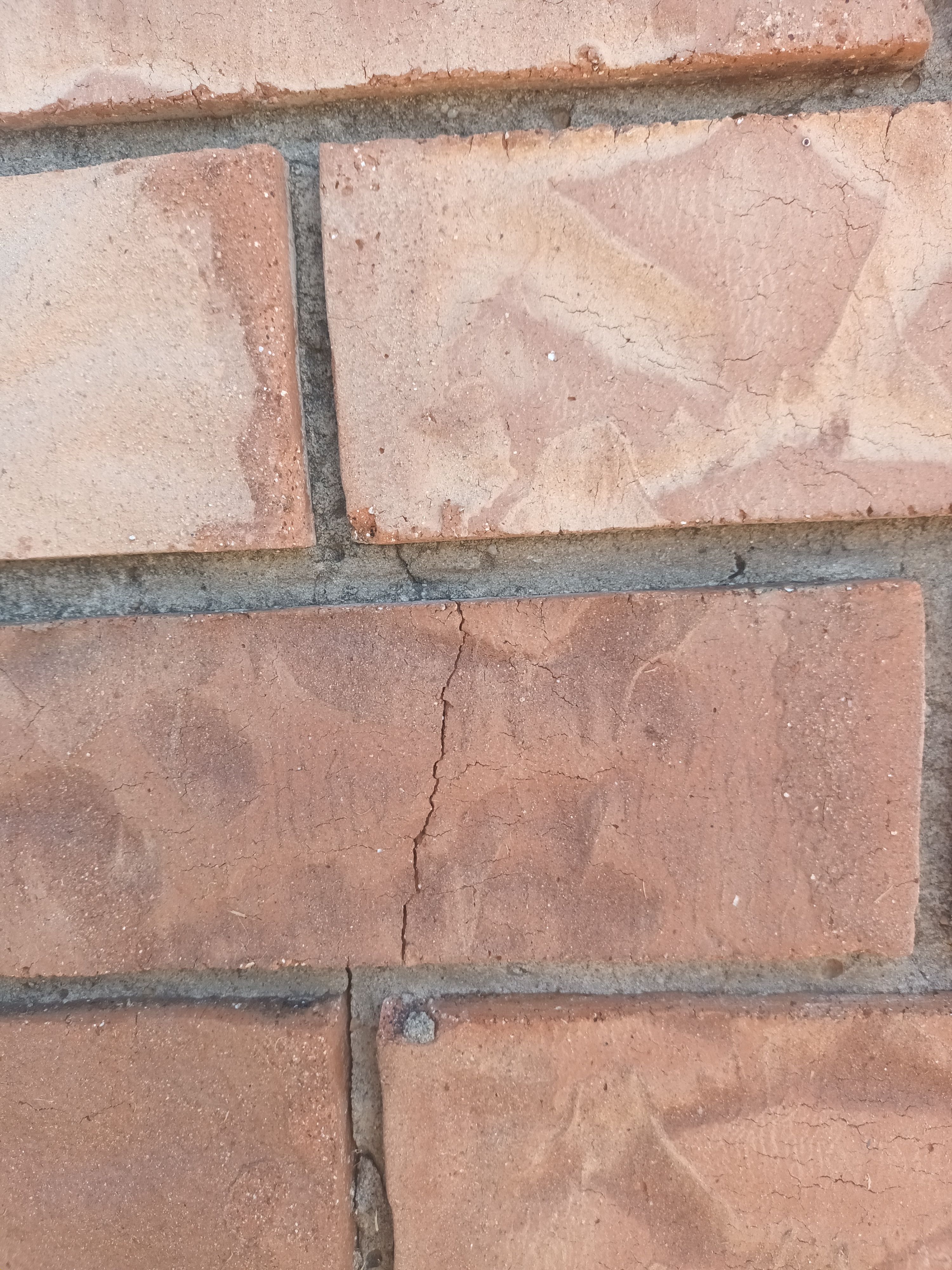 How to repair cracked bricks and mortar? | Bunnings Workshop community