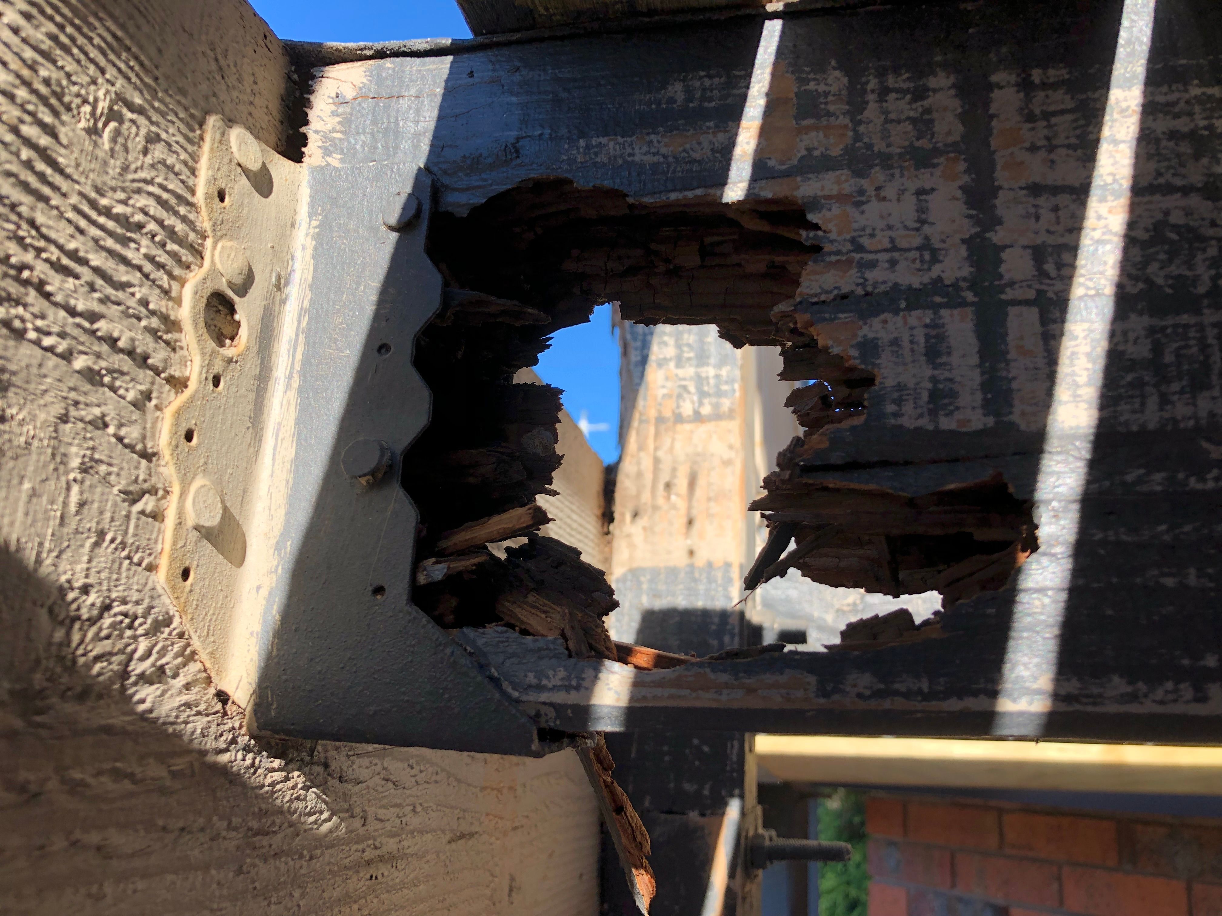 How to fix partly rotten fascia? Best op... | Bunnings Workshop community