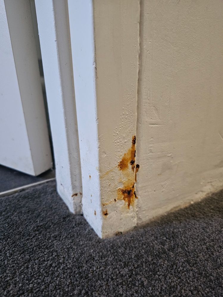 Solved: How to repair or replace a rusted door f... | Bunnings Workshop ...