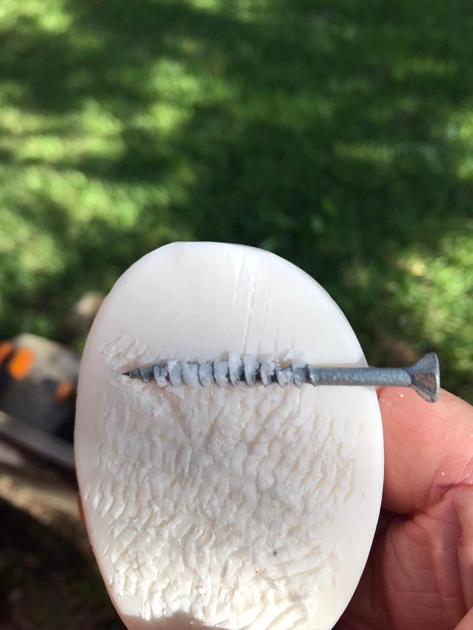 Mistakes with tools that we have done? | Bunnings Workshop community