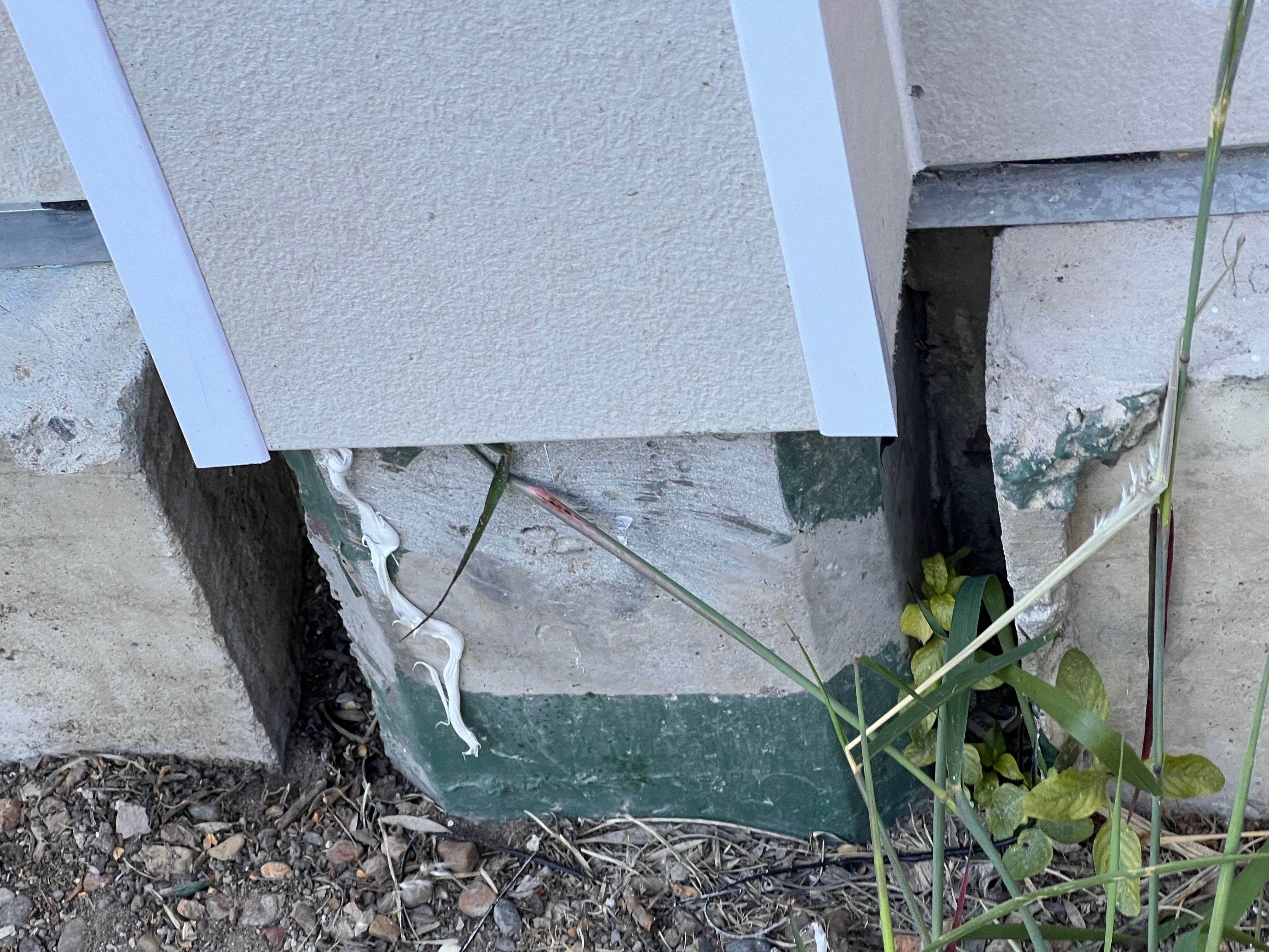 How to fill gaps in a cement wall? | Bunnings Workshop community