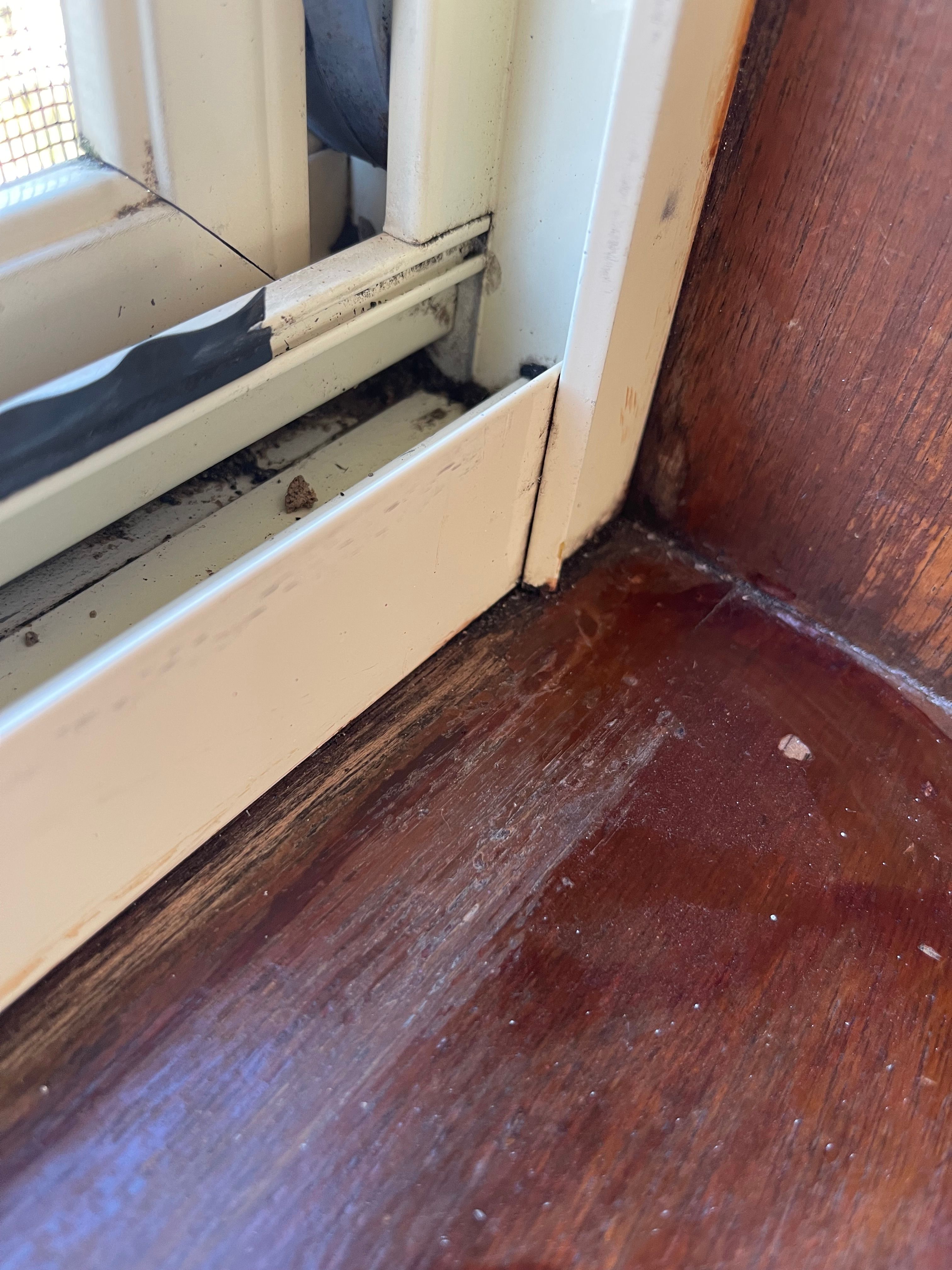 How to seal timber window frames? | Bunnings Workshop community