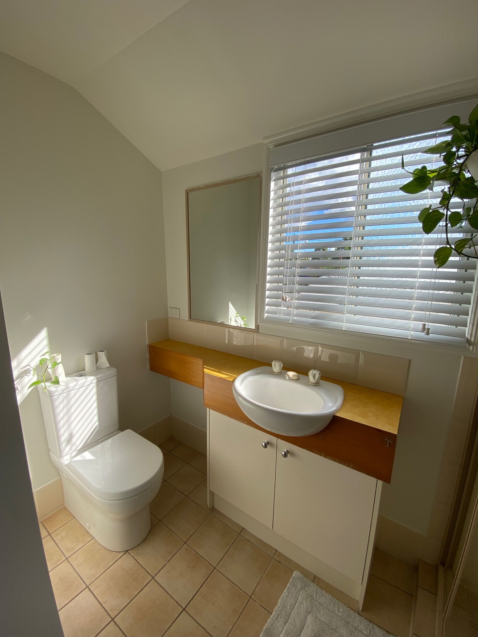 Solved: How to repair cracks in bathroom ceiling... | Bunnings Workshop ...