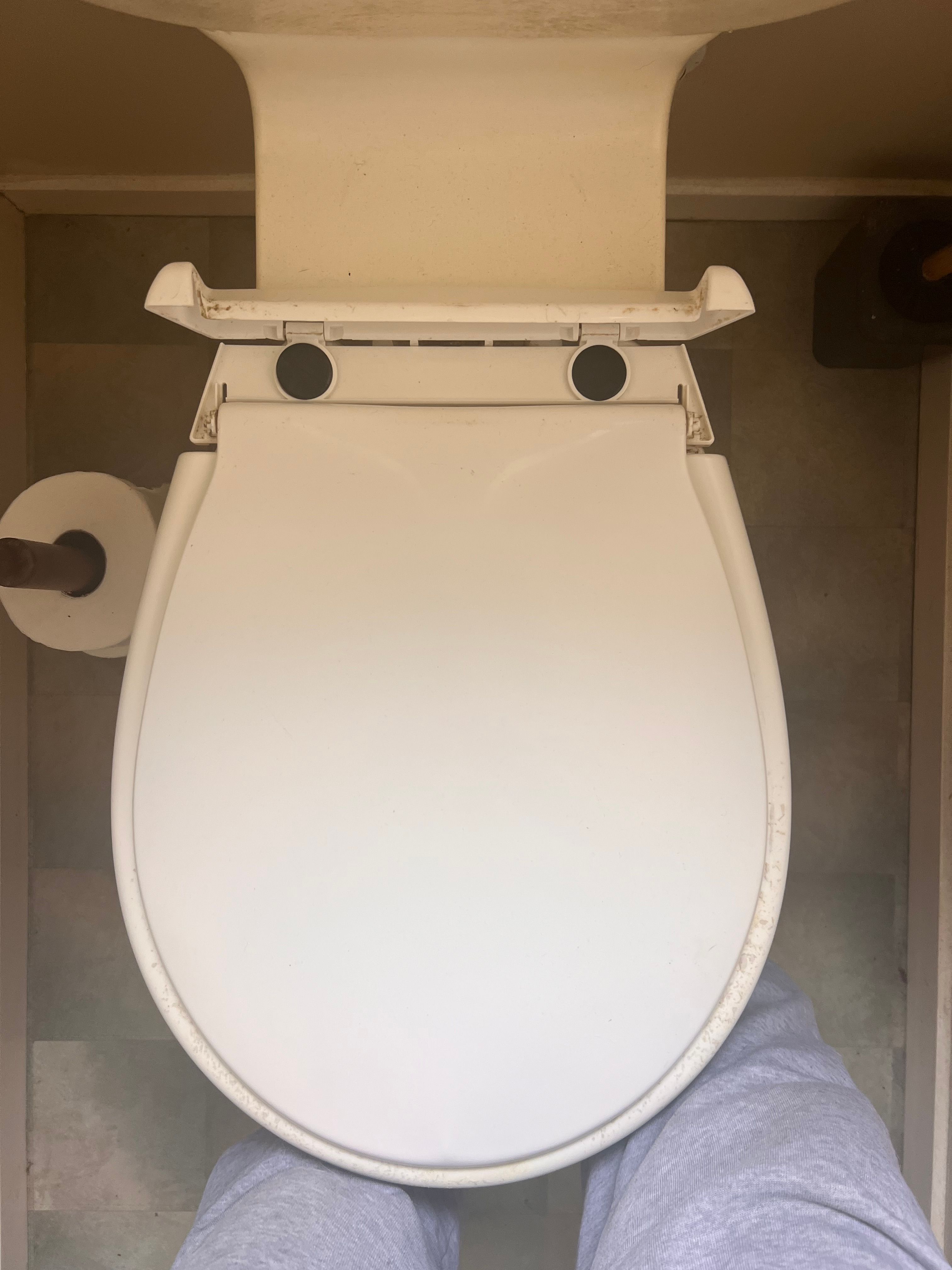 How to replace a Caroma toilet seat? | Bunnings Workshop community