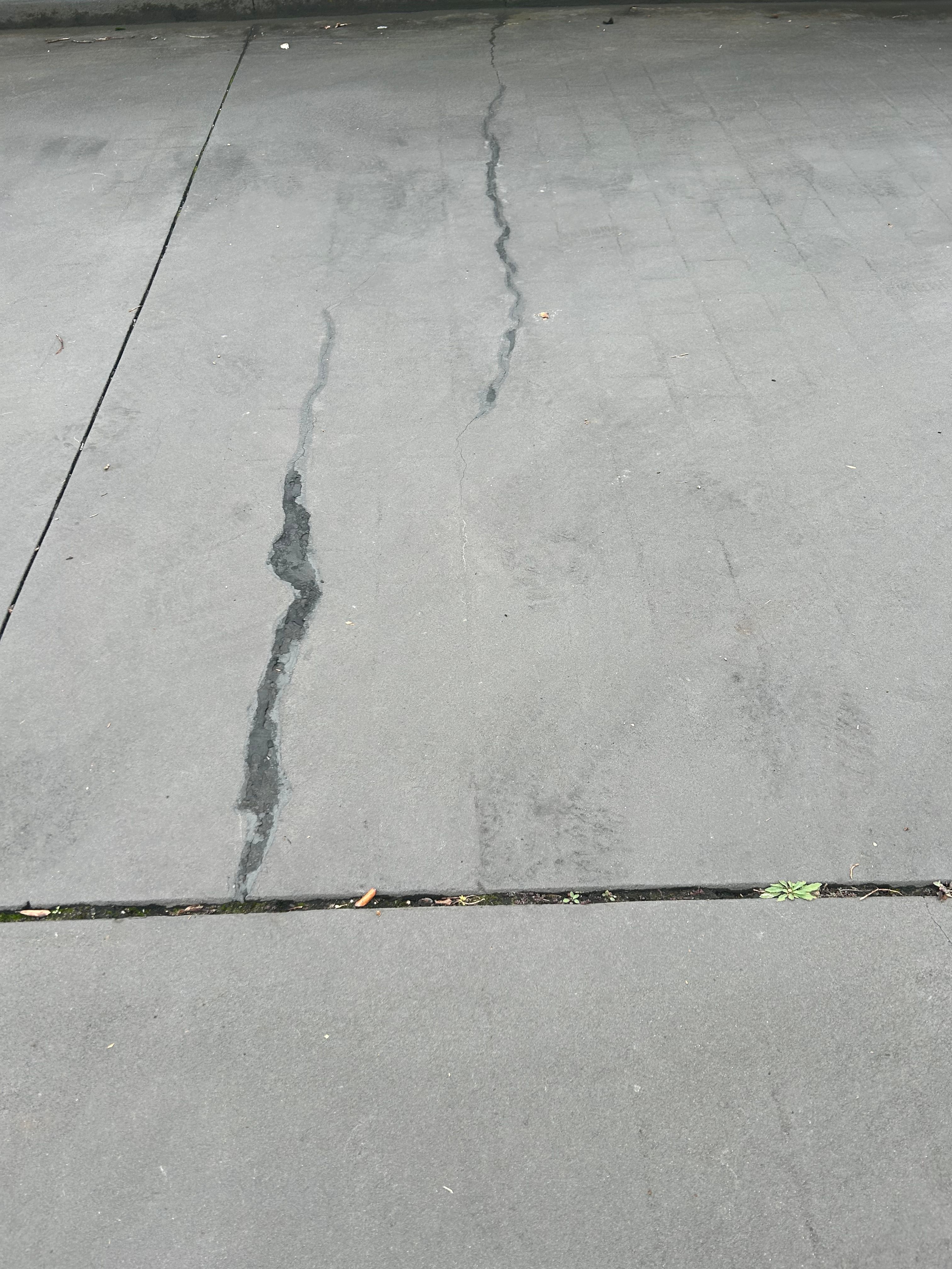 How to seal cracks in sealed concrete dr... | Bunnings Workshop community