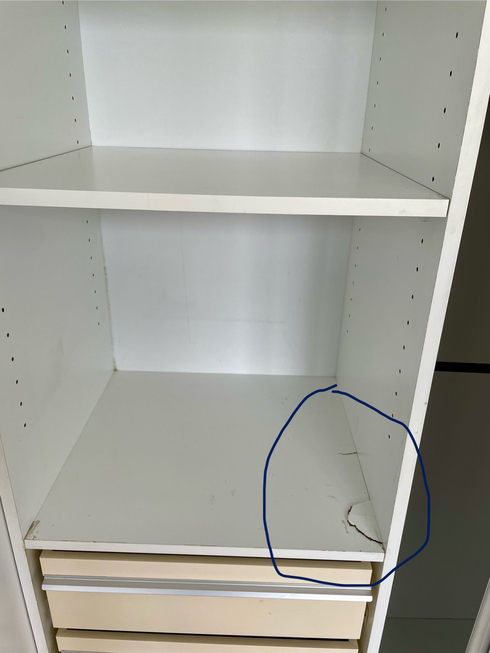 How to repair broken shelves and front o... | Bunnings Workshop community