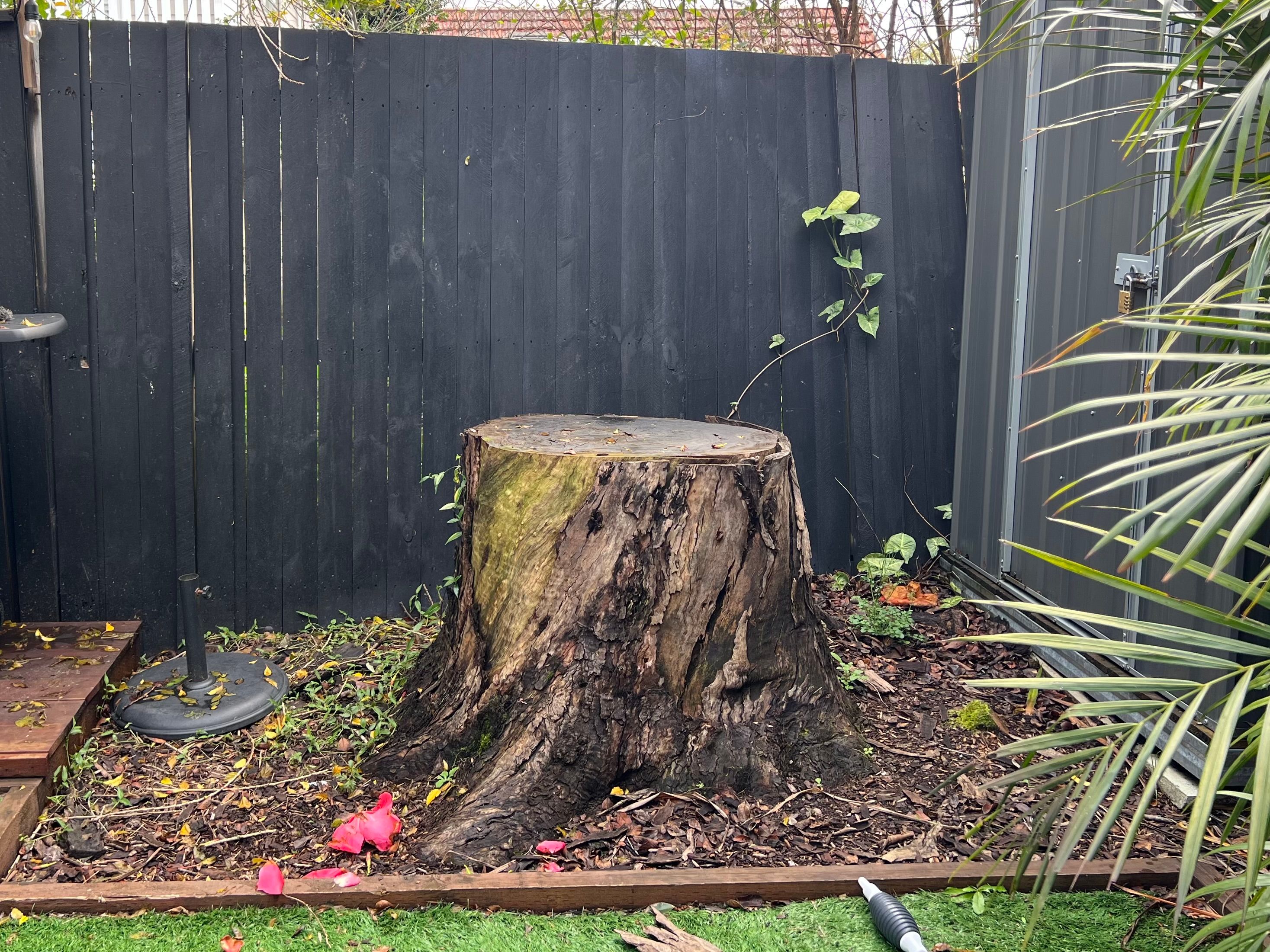 How to build a cubby on a tree stump? | Bunnings Workshop community