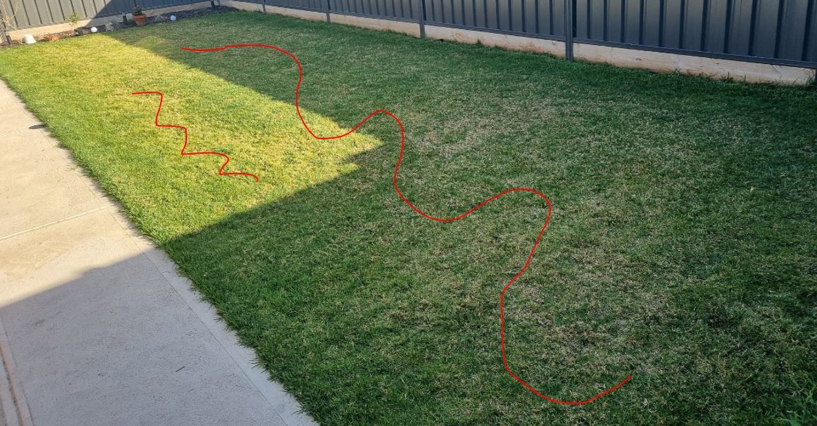 How to fix uneven backyard lawn? | Bunnings Workshop community