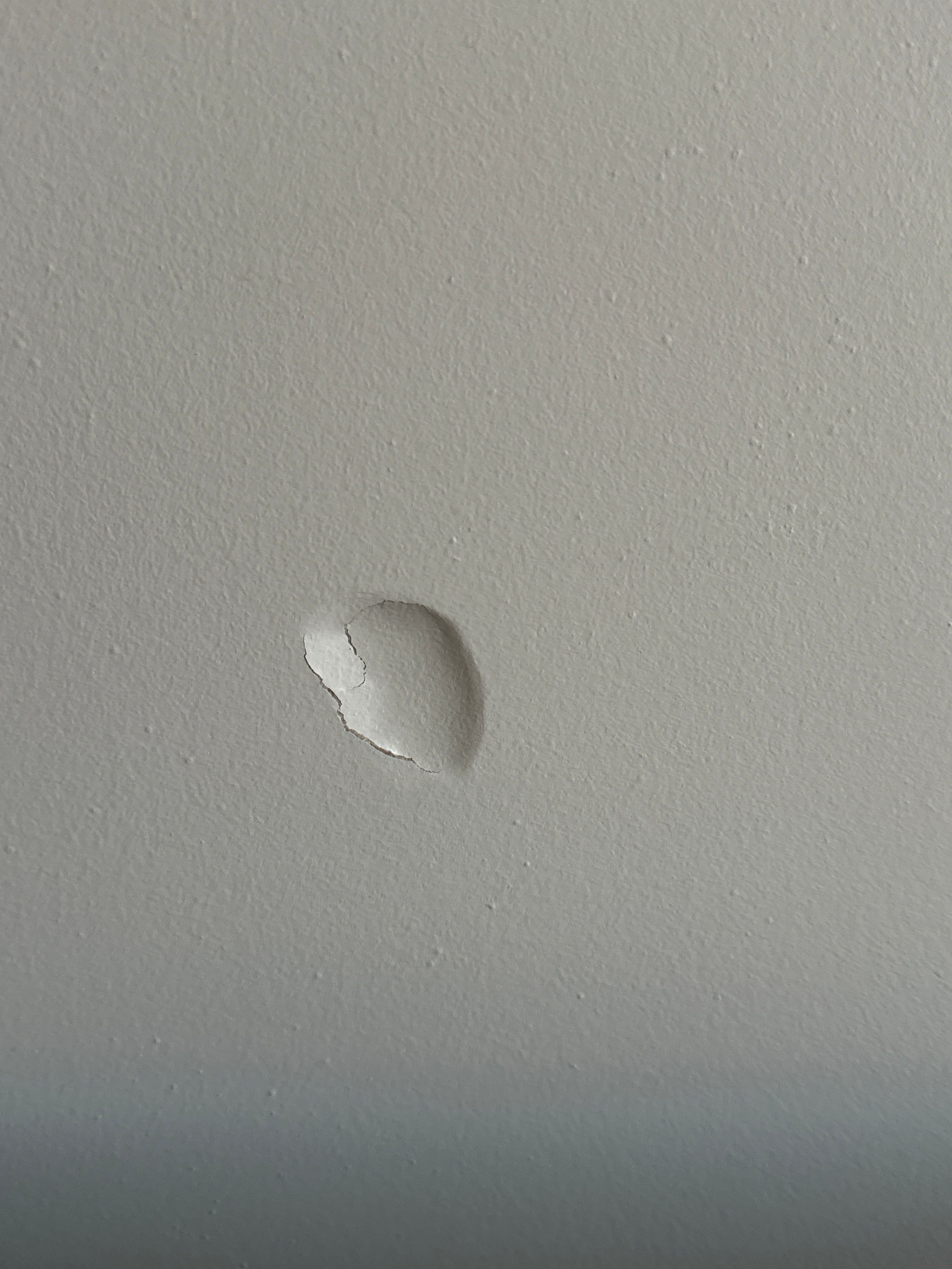 How to fix a small hole in the wall? | Bunnings Workshop community