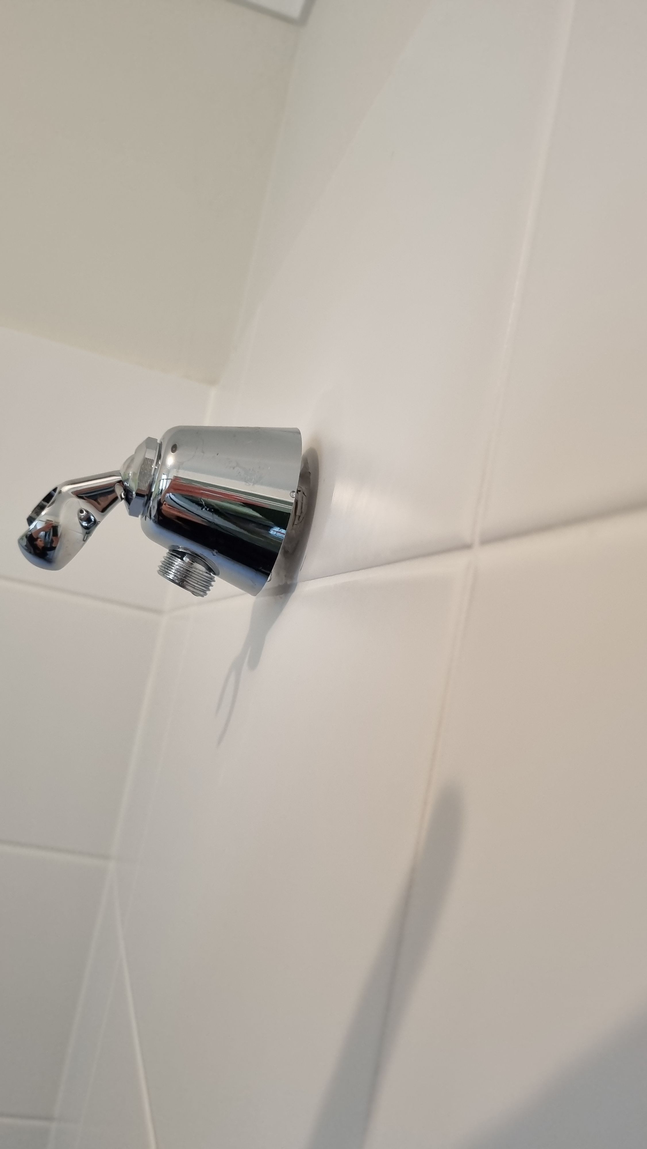 How to install Estilo shower head? | Bunnings Workshop community