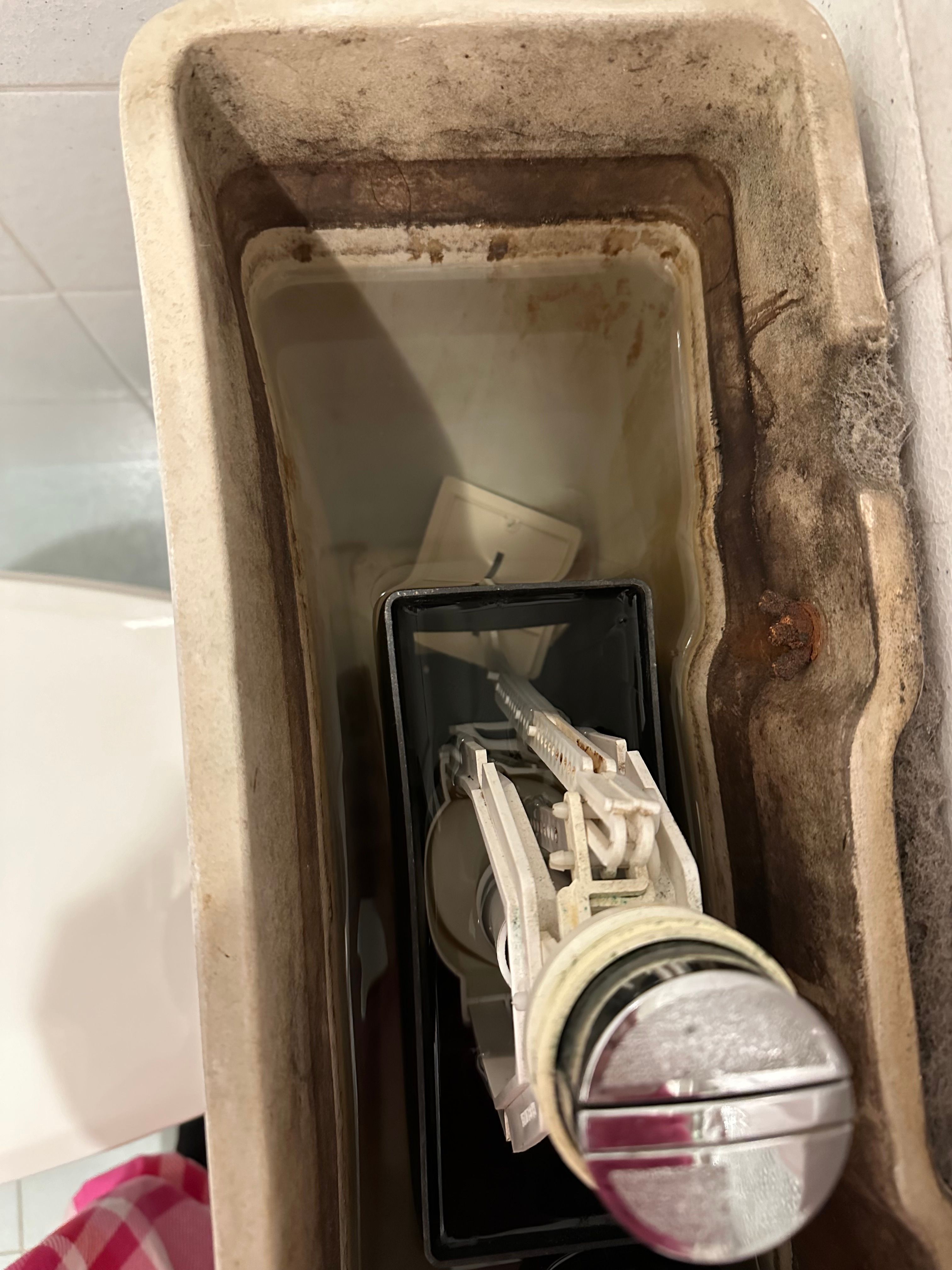 How to replace Fowler Dual flushing cist... | Bunnings Workshop community