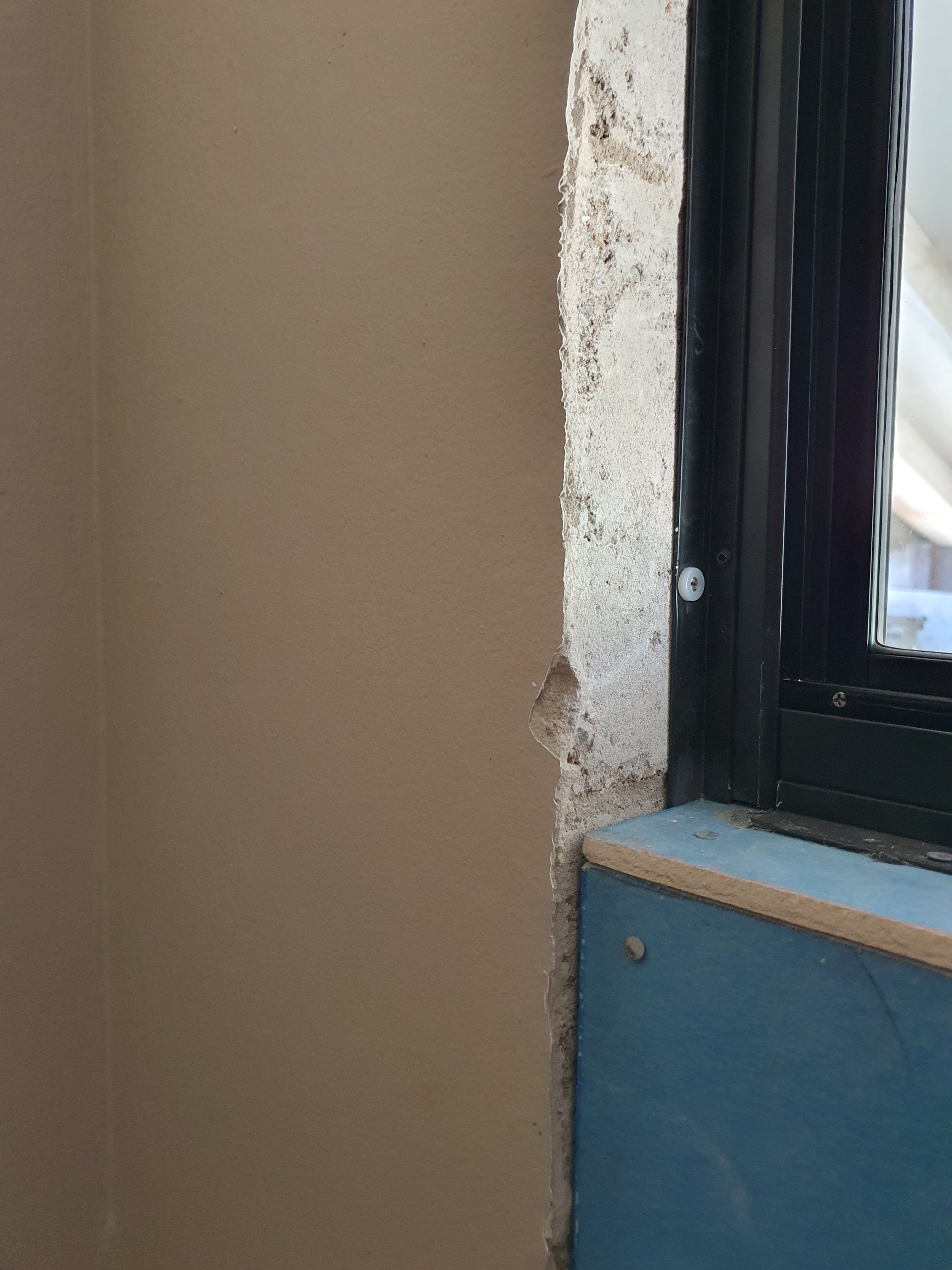 How to render around internal windows? | Bunnings Workshop community