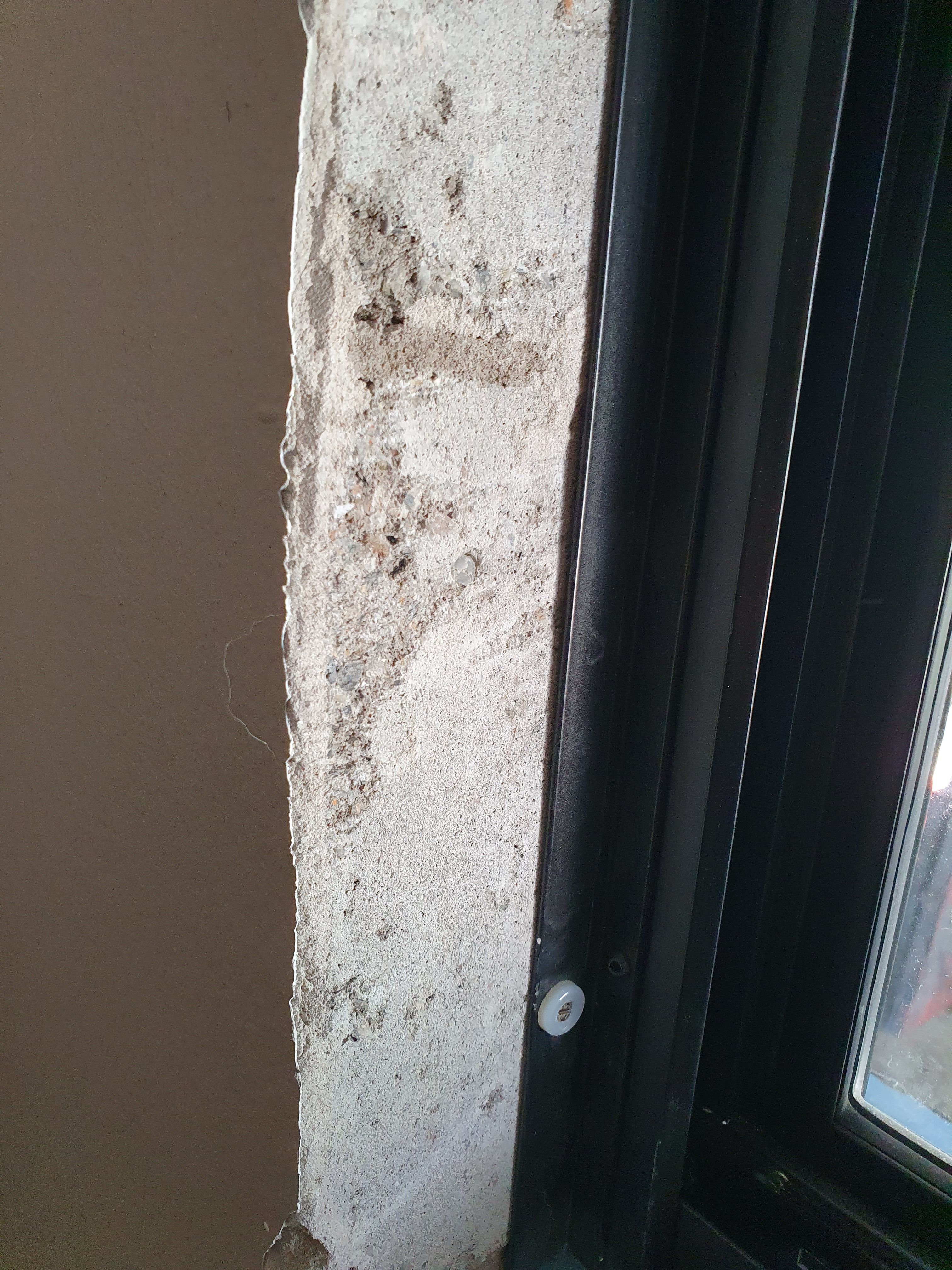 How to render around internal windows? | Bunnings Workshop community