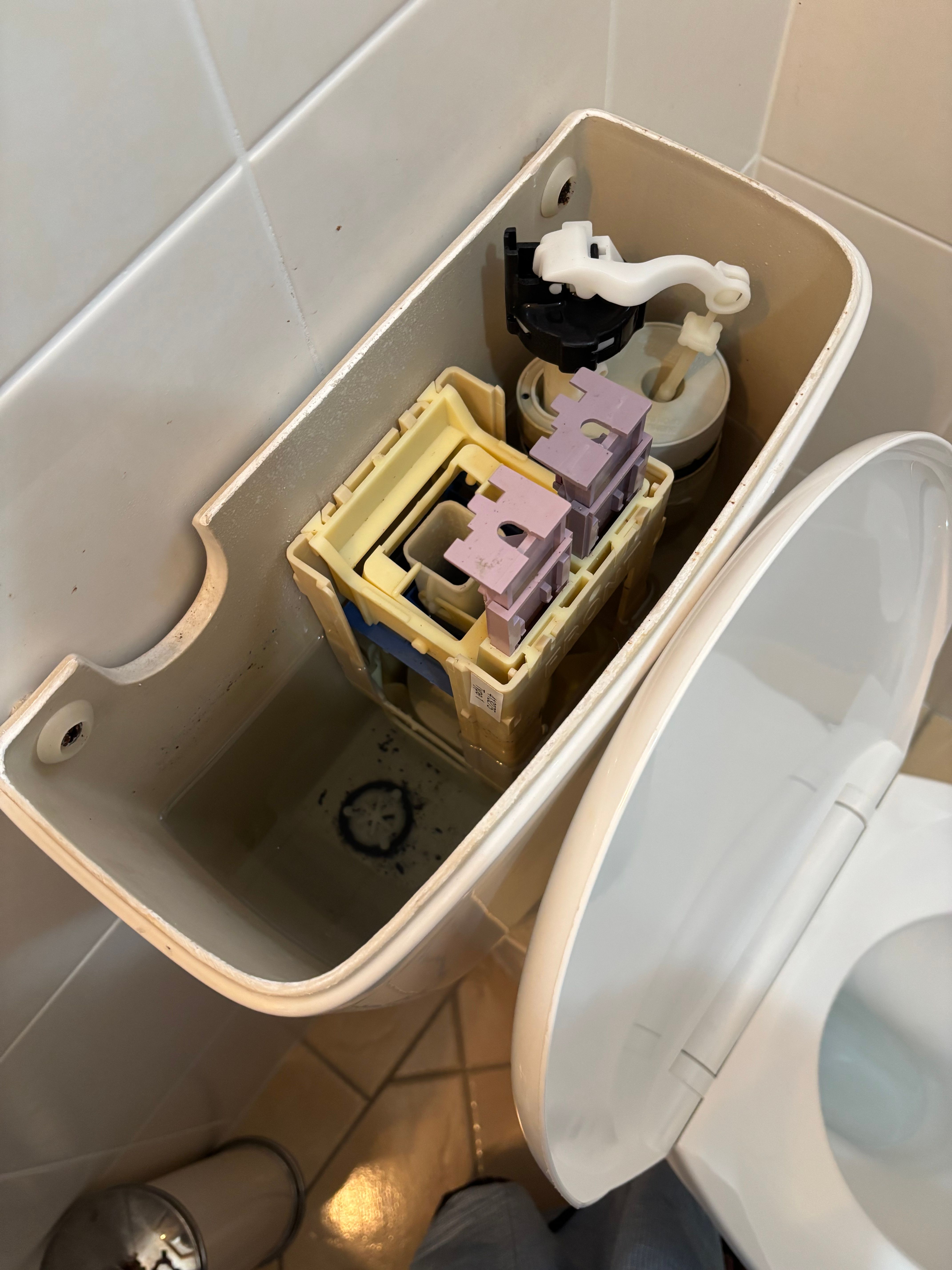 Solved: Installation of dual flush valve in caro... - Page 2 | Bunnings ...