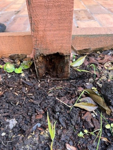 How to repair rotted load bearing post? | Bunnings Workshop community