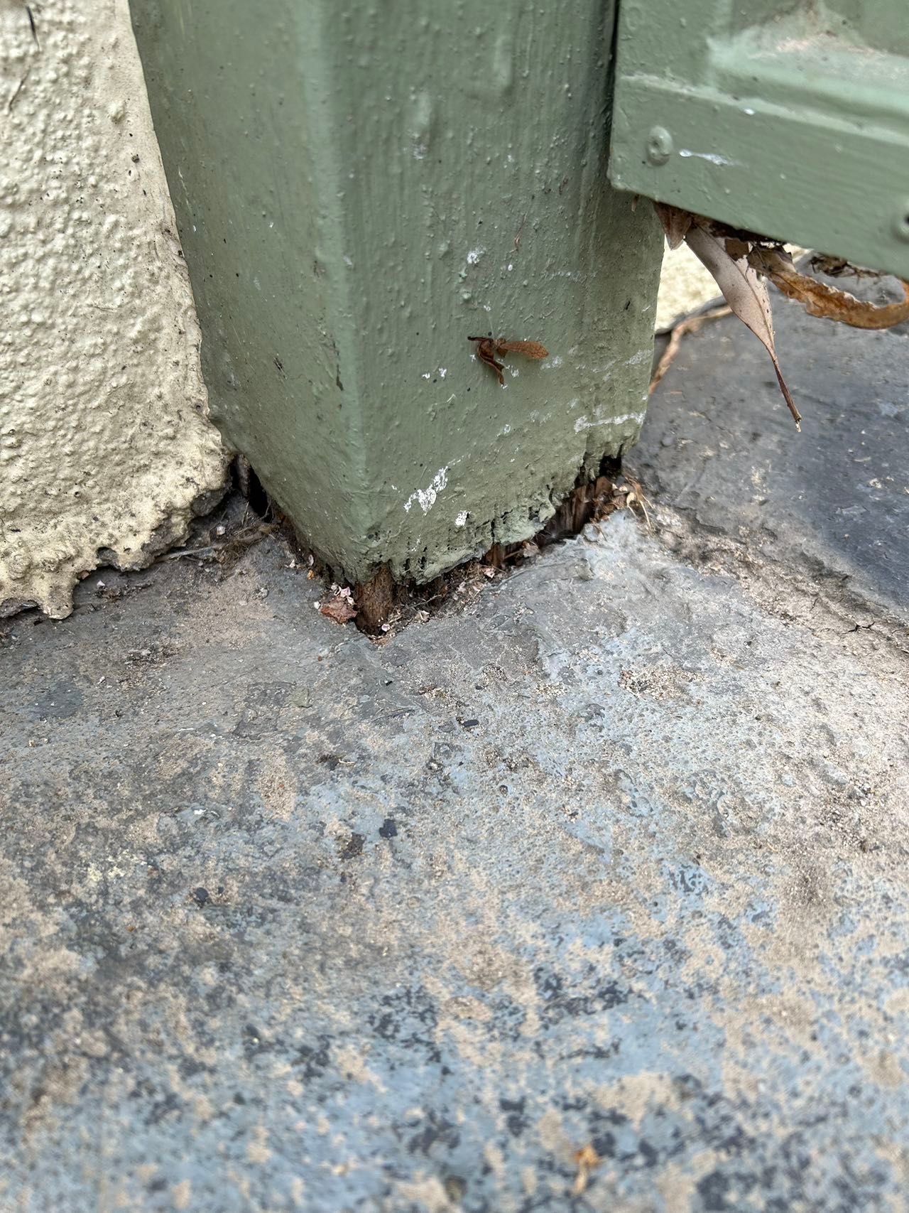 How to repair gate post rotted at the bo... | Bunnings Workshop community
