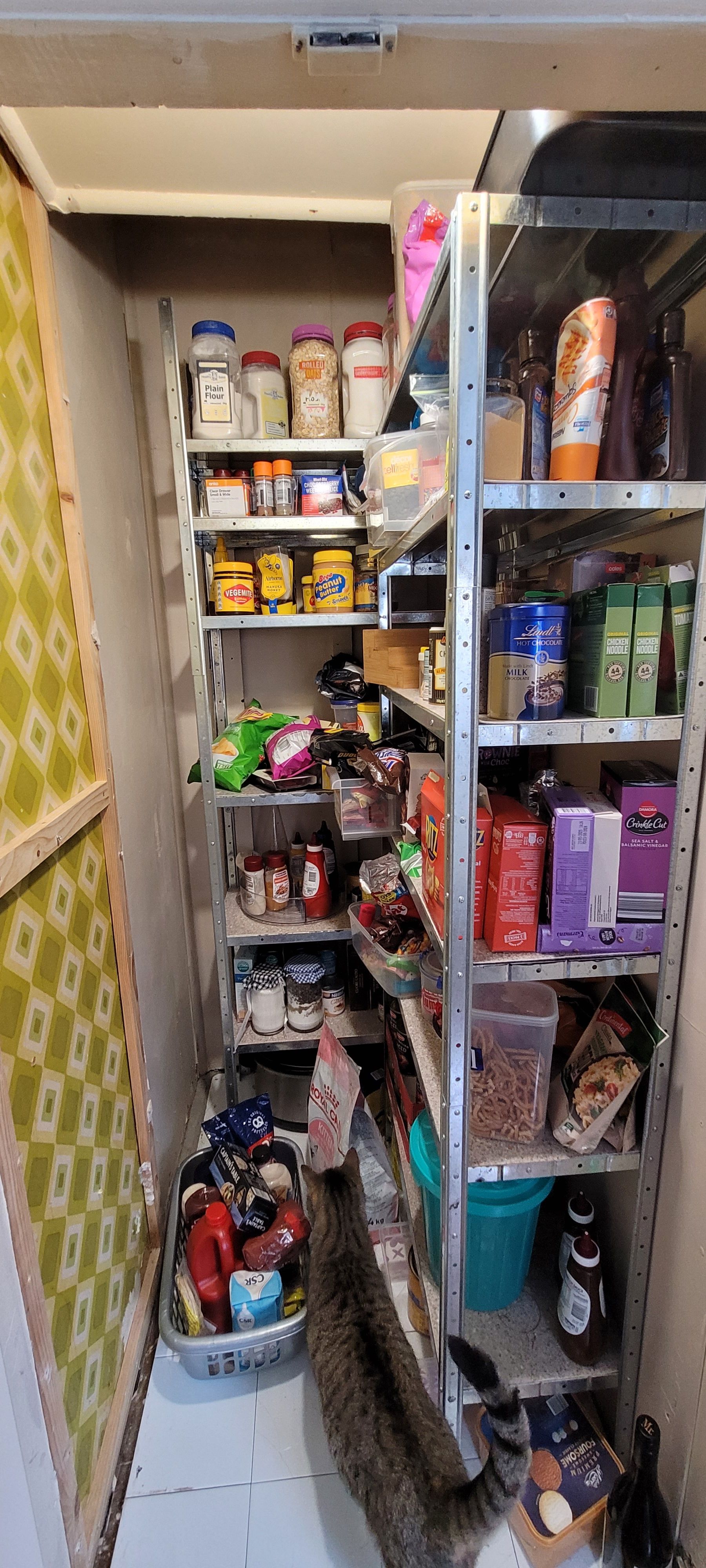 How to improve walk-in pantry? | Bunnings Workshop community