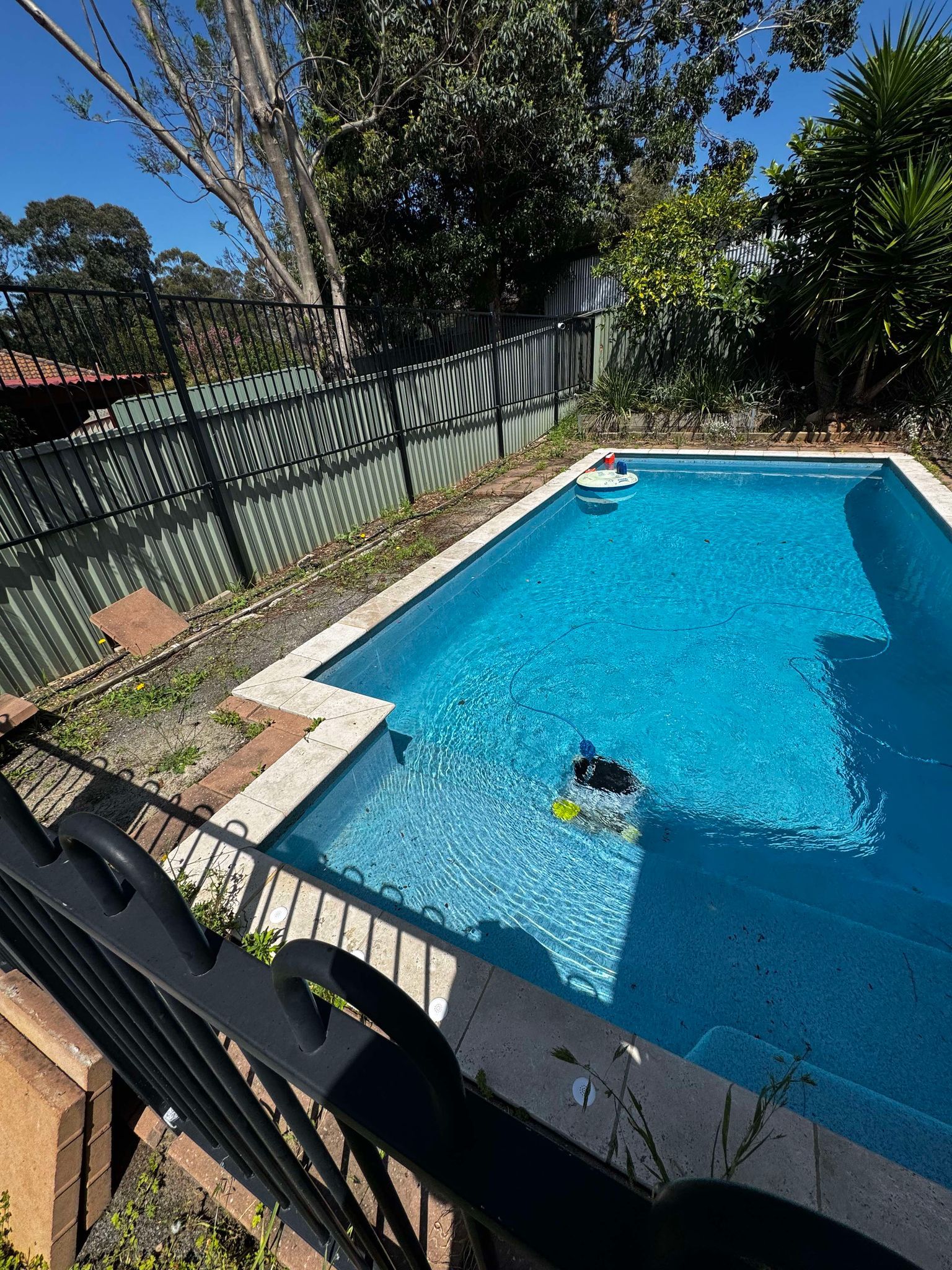 How to improve pool area and add privacy... | Bunnings Workshop community