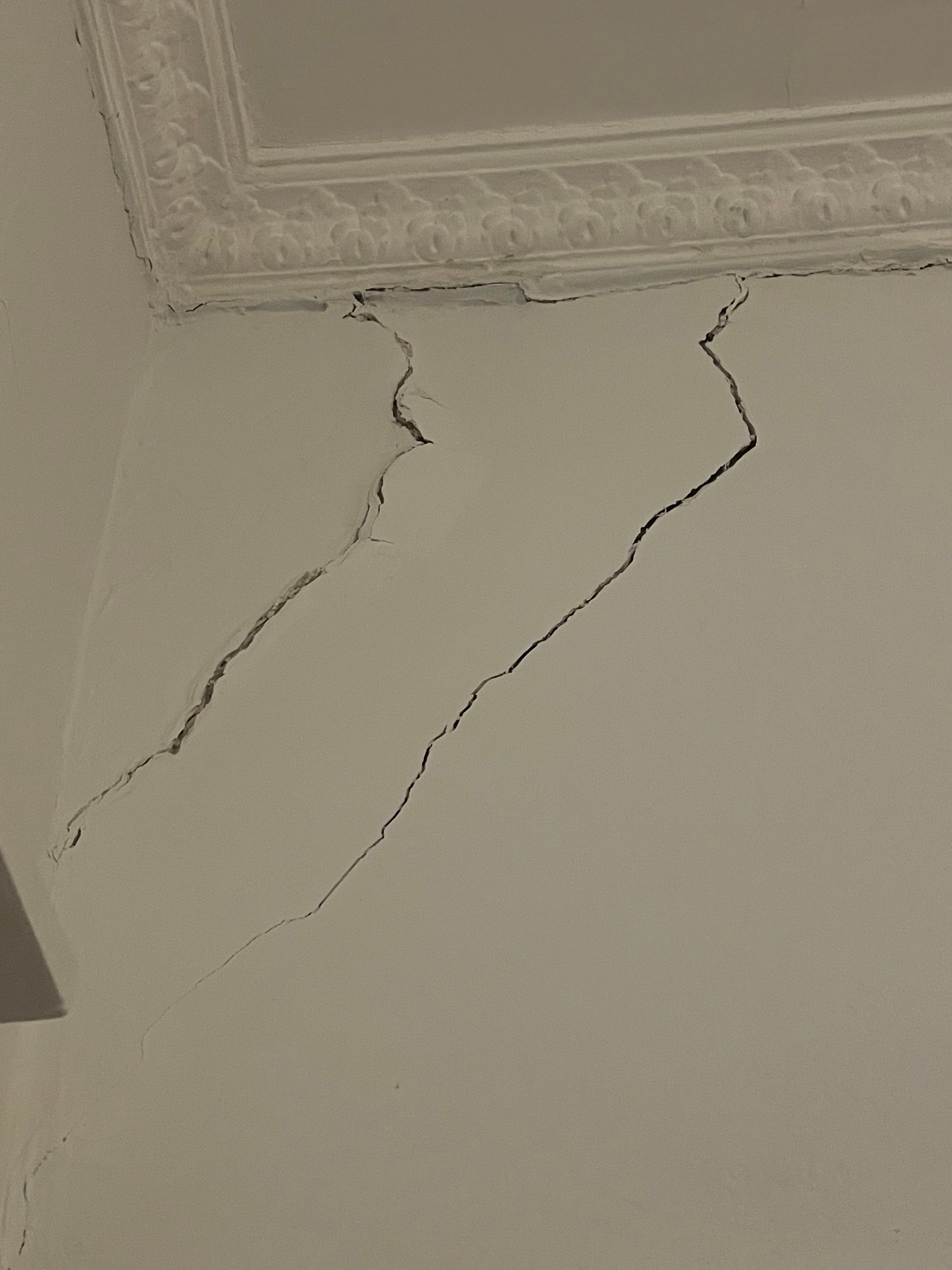 How to repair loose plaster? | Bunnings Workshop community