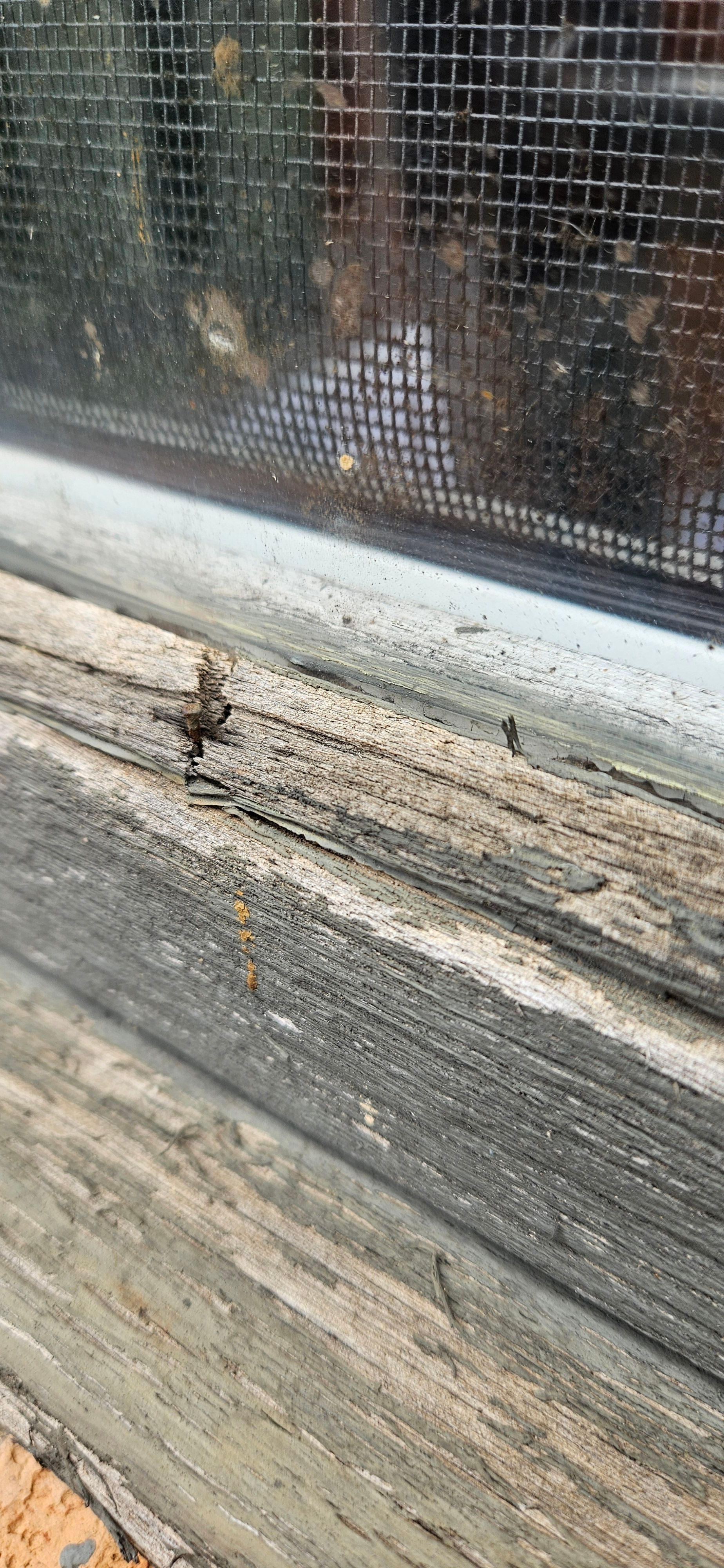 How to replace a window frame bottom rai... | Bunnings Workshop community