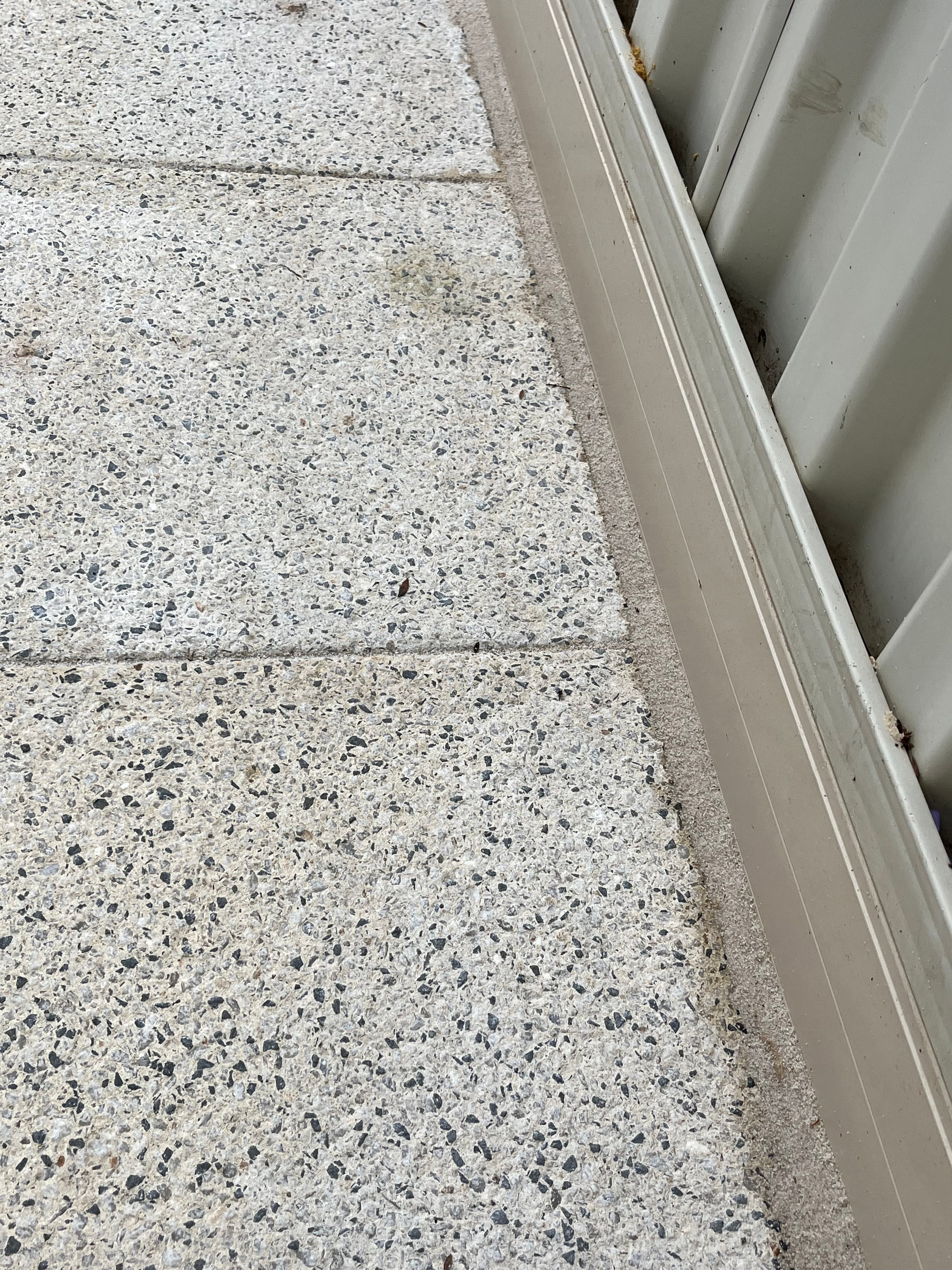 How to fix pool paving edge gap? | Bunnings Workshop community