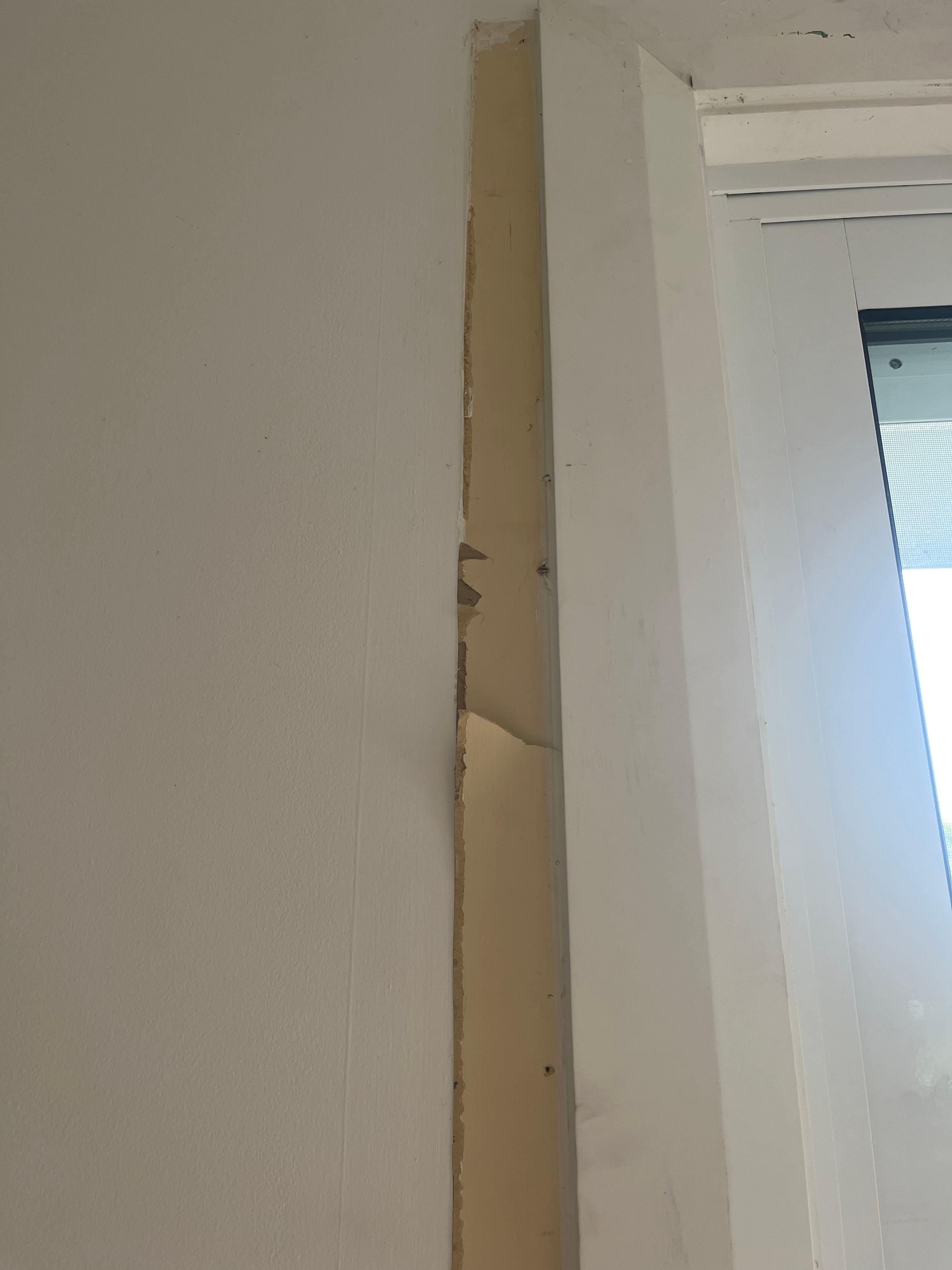 How to repair damaged Gyprock walls? | Bunnings Workshop community