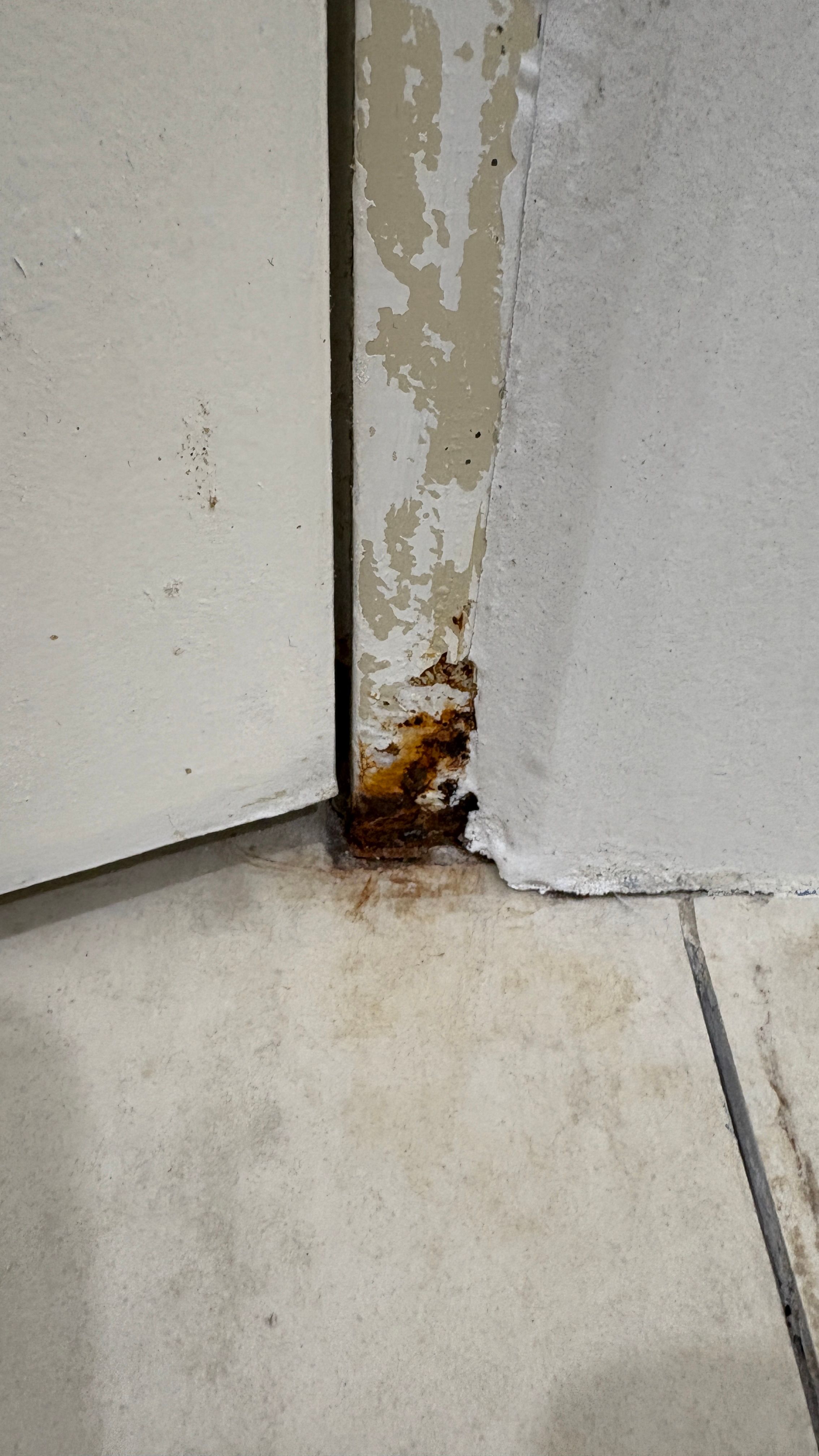 How to fix a rusty door frame? | Bunnings Workshop community