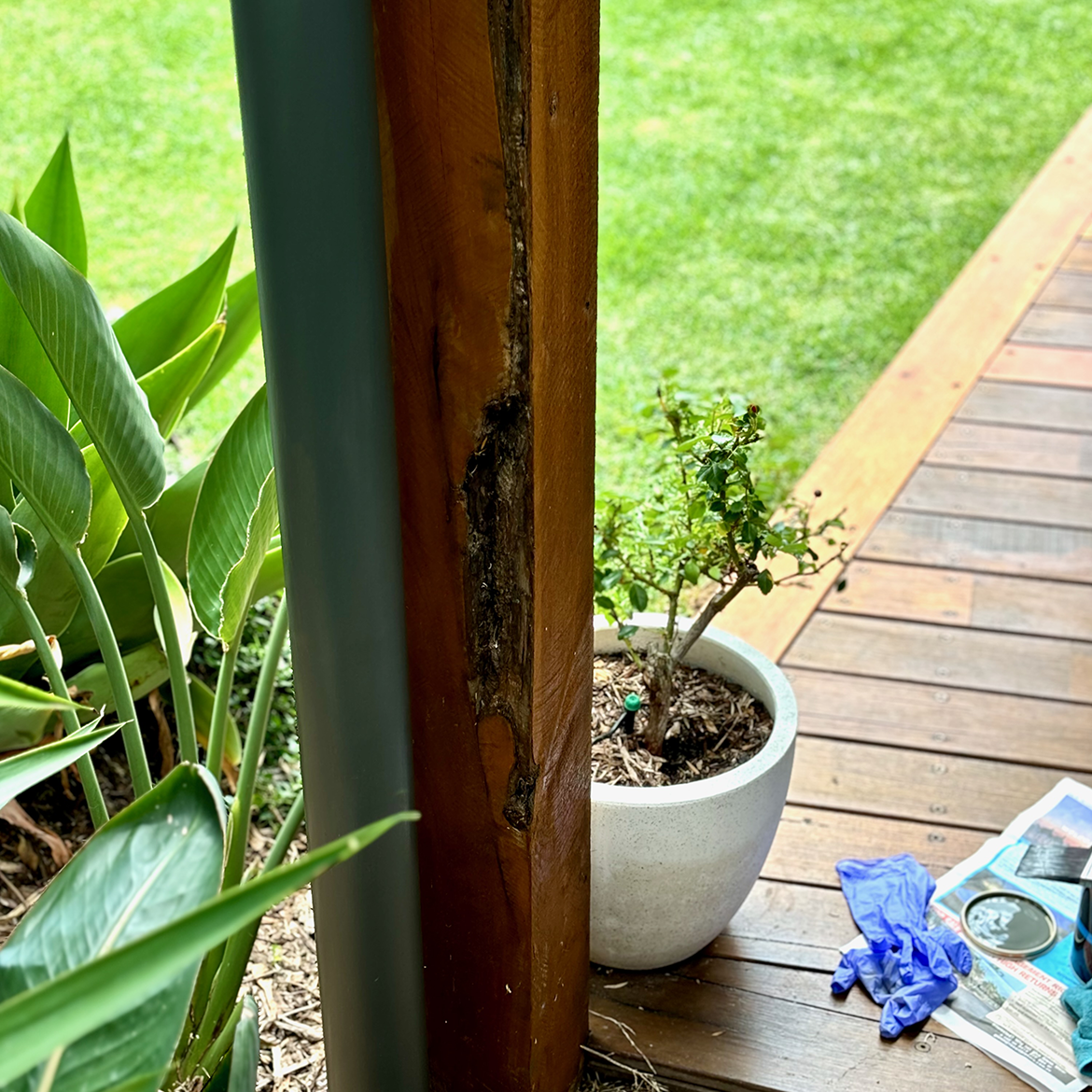 How to paint downpipes | Bunnings Workshop community