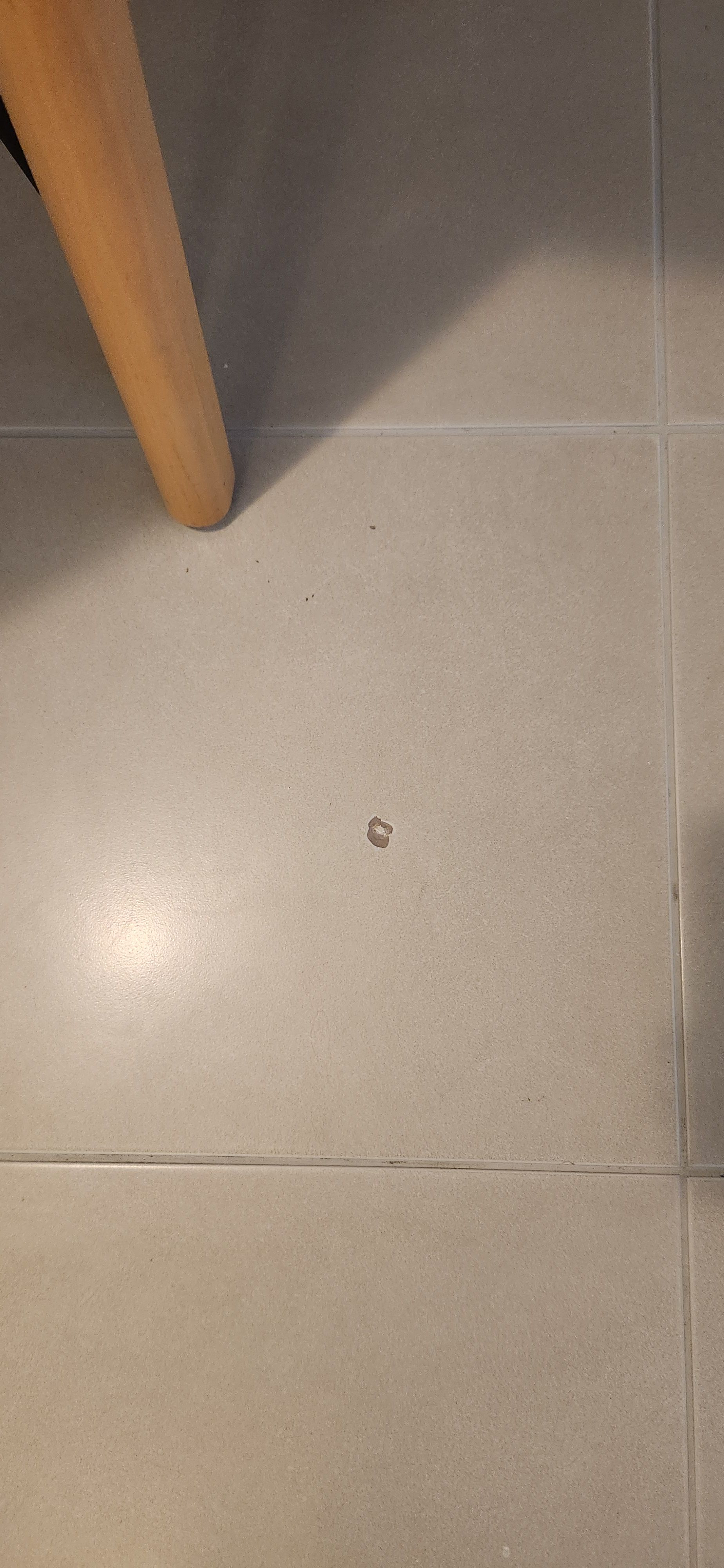 How to fix a chipped tile without replac... | Bunnings Workshop community