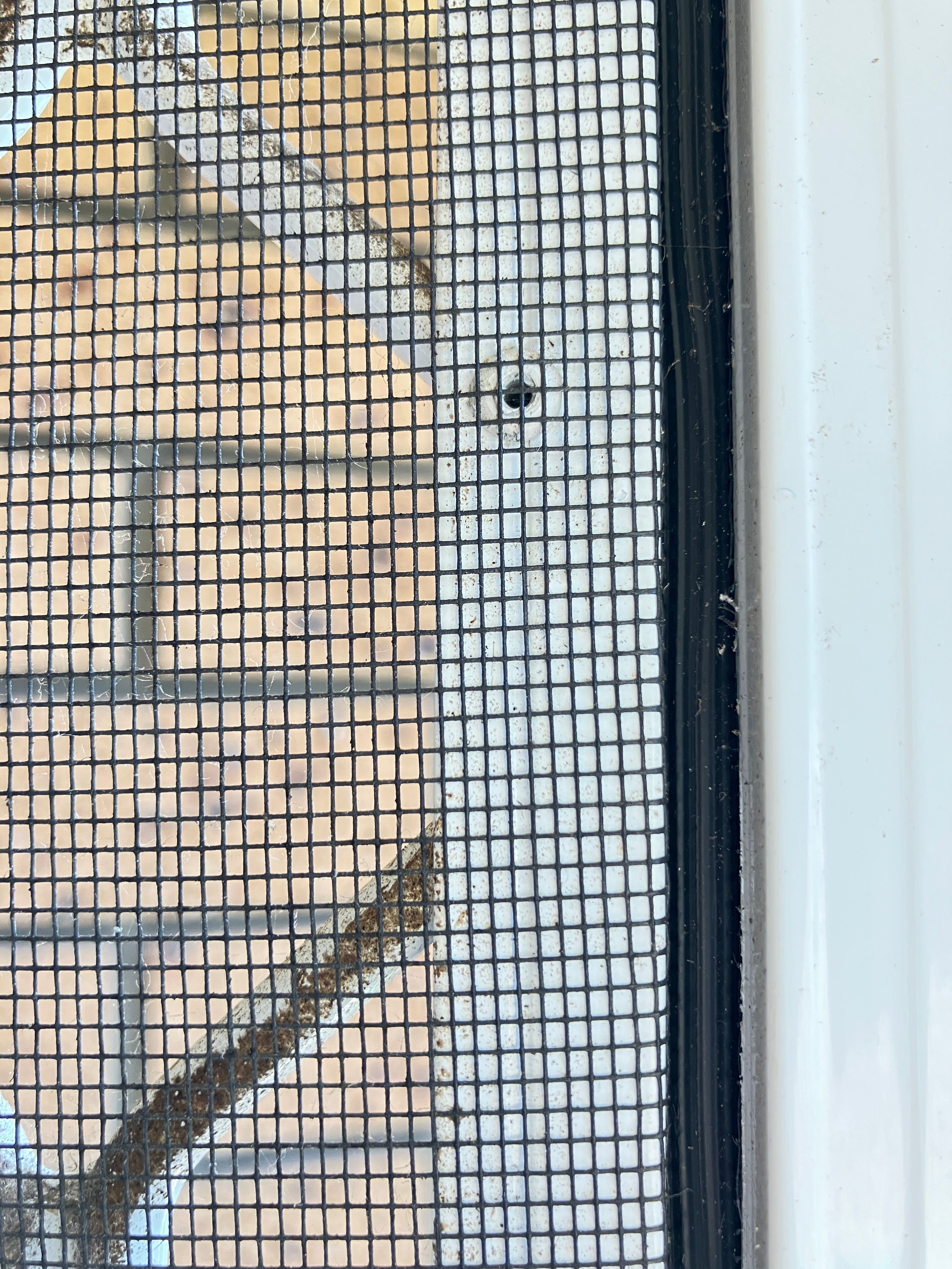 Refreshed screen door using spray paint | Bunnings Workshop community