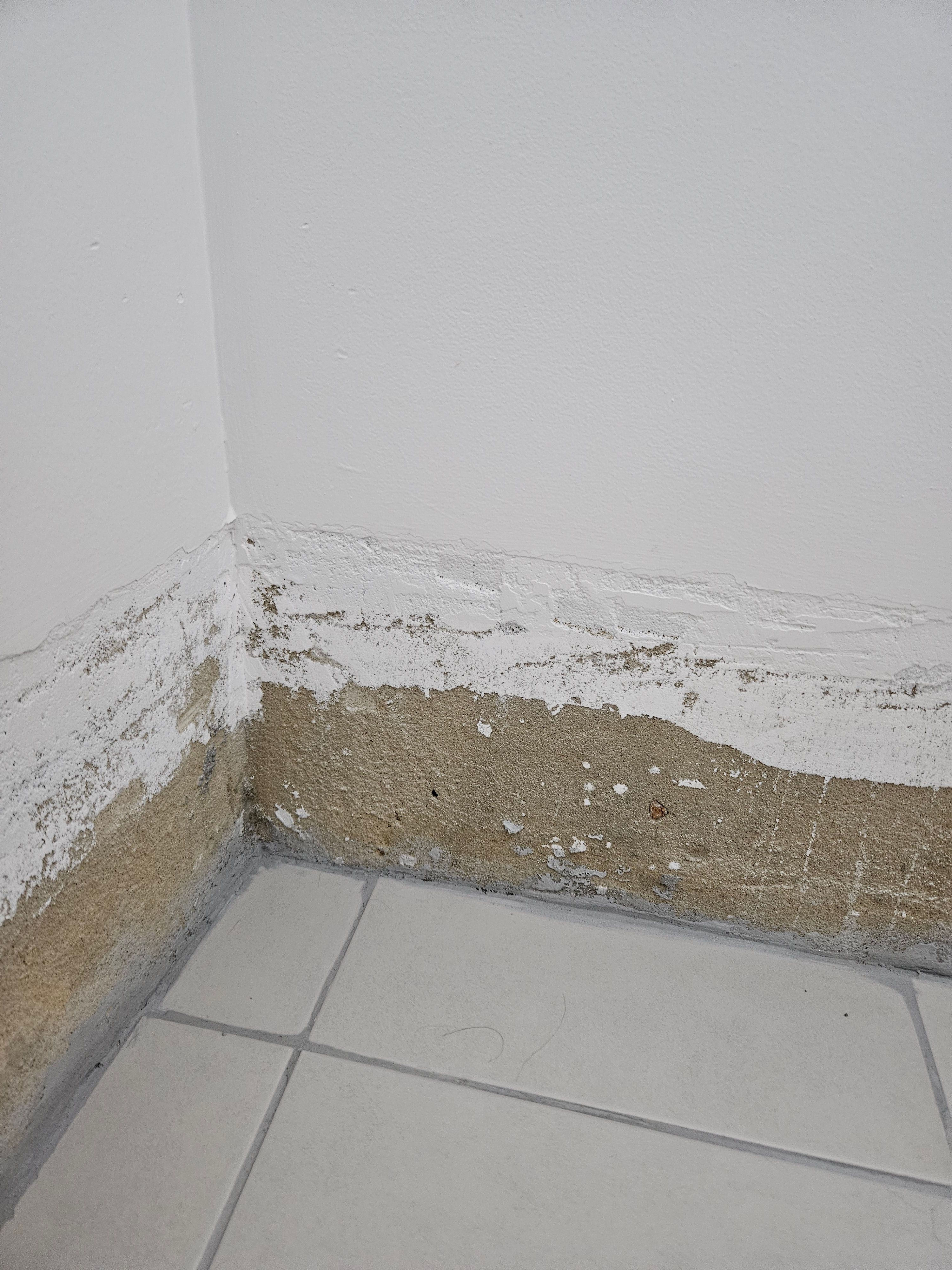 How to finish plaster over brick after t... | Bunnings Workshop community