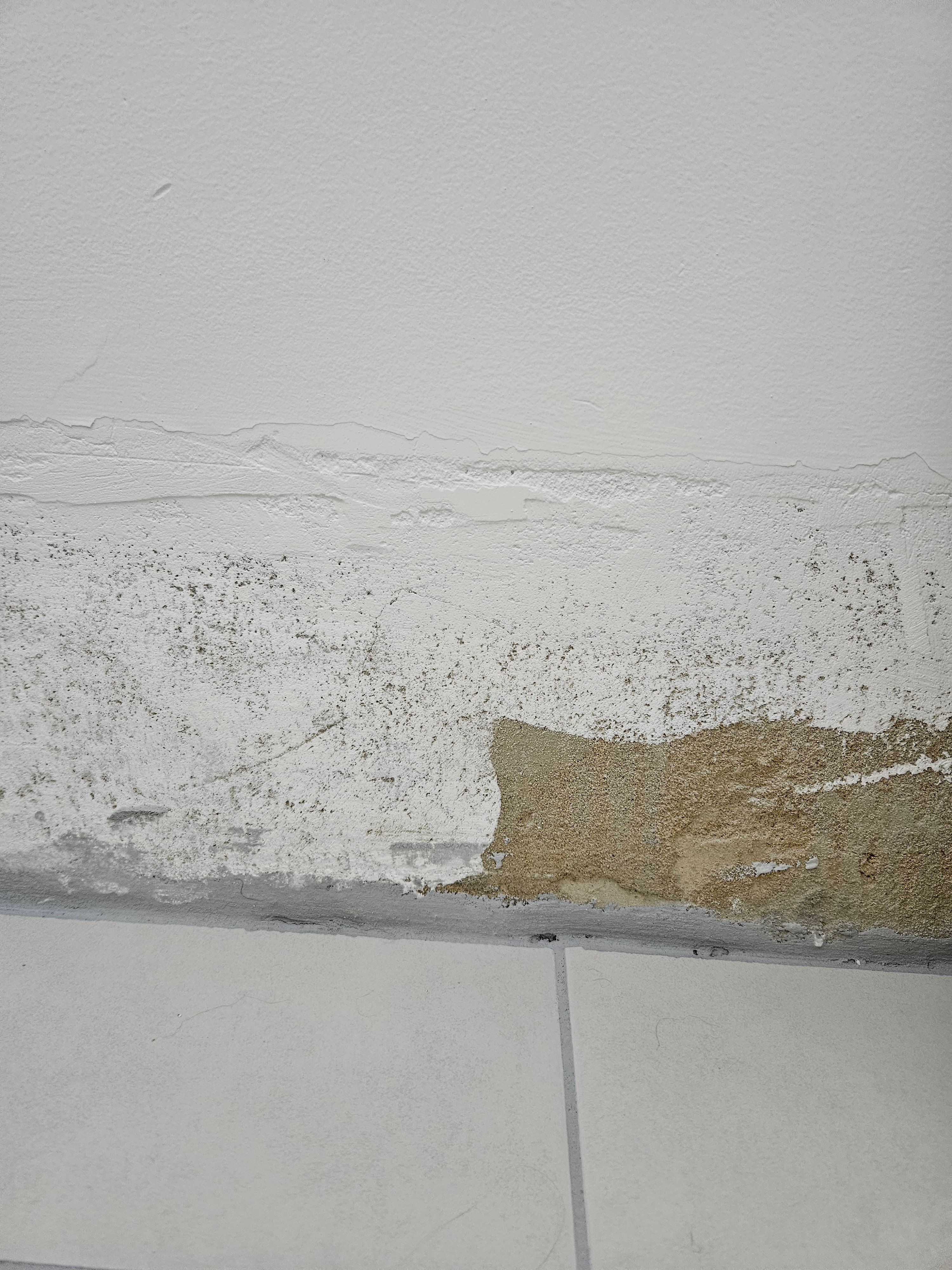 How to finish plaster over brick after t... | Bunnings Workshop community