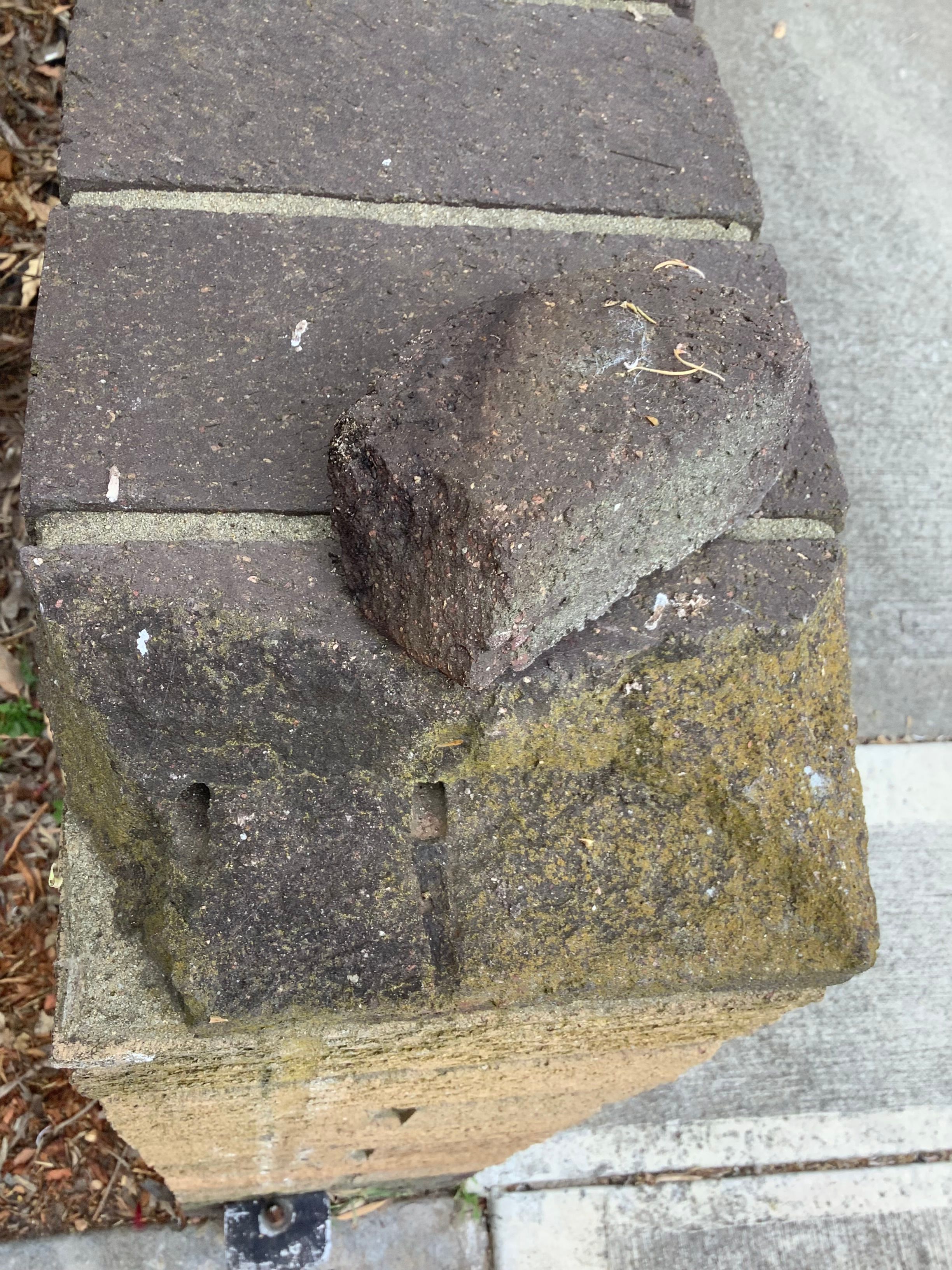 How to fix broken bricks? | Bunnings Workshop community