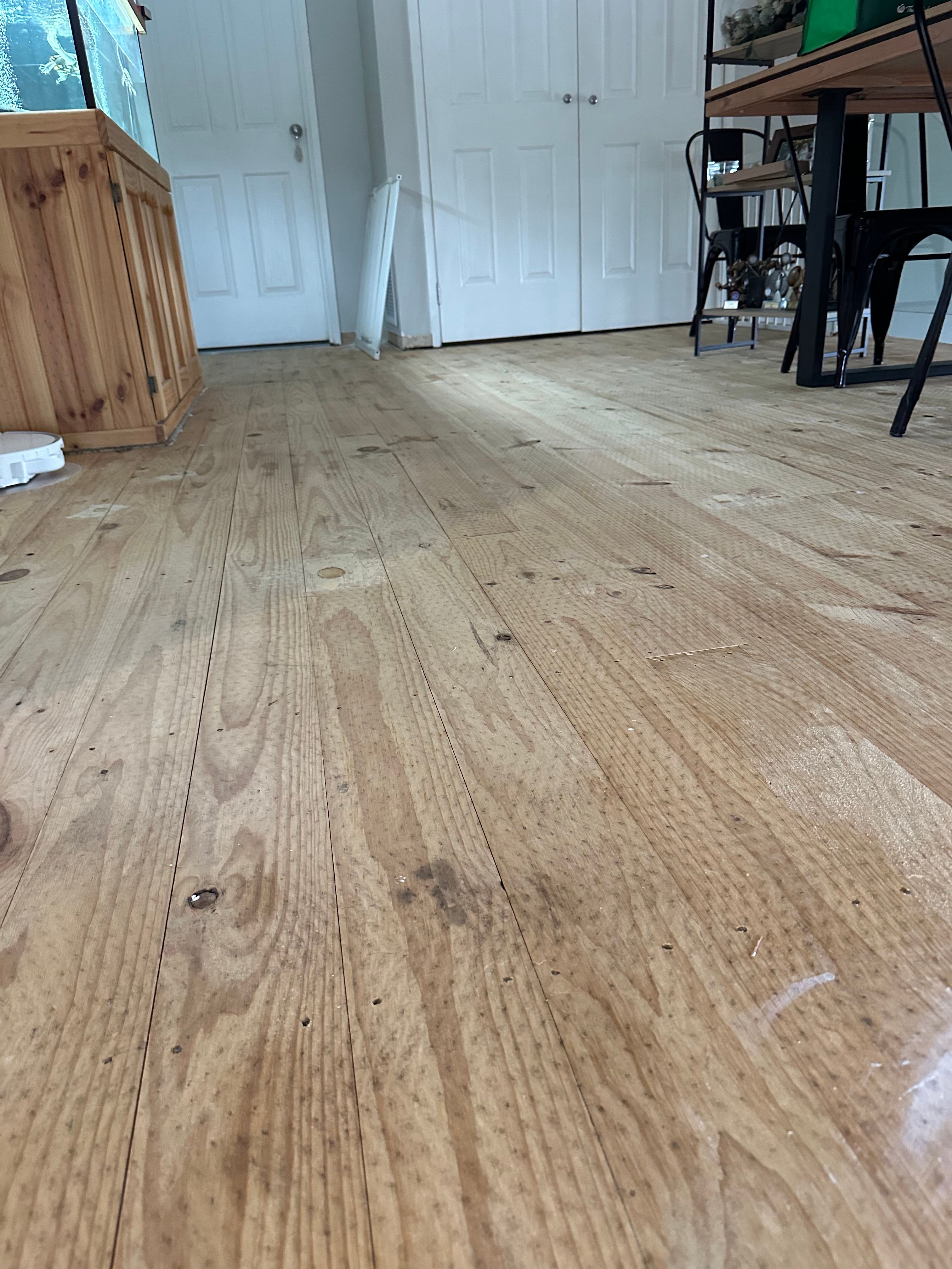 How to level timber subfloor for hybrid ... | Bunnings Workshop community