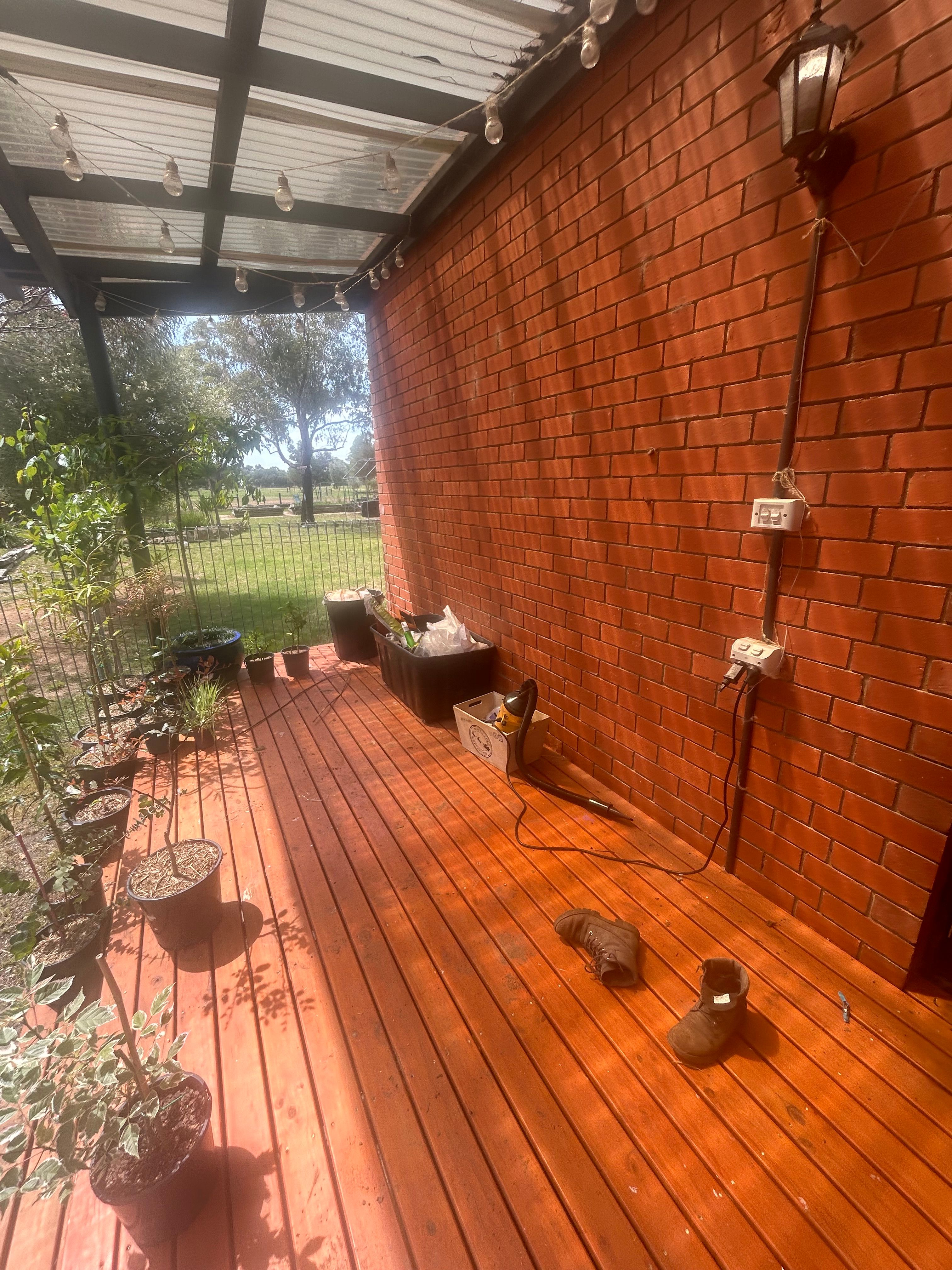 How to build dog-proof fencing to protec... | Bunnings Workshop community