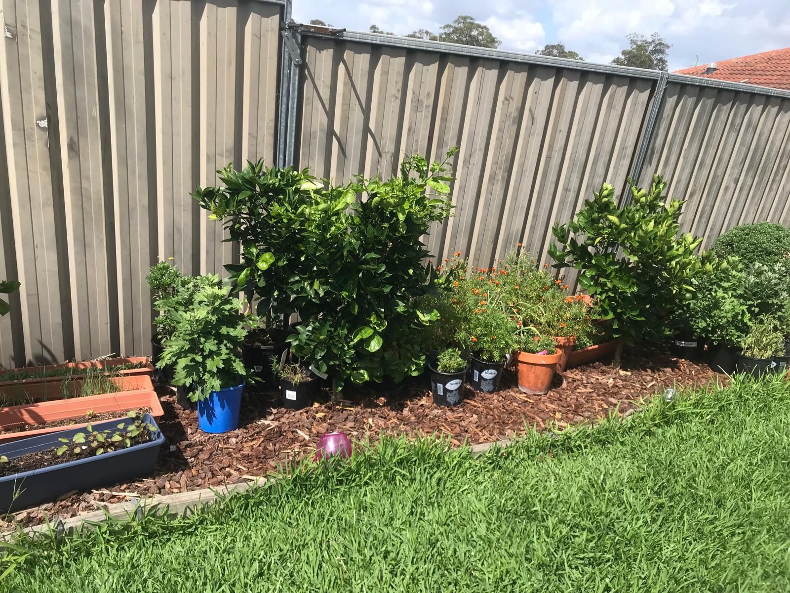 How to install shade cloth on vege patch... | Bunnings Workshop community
