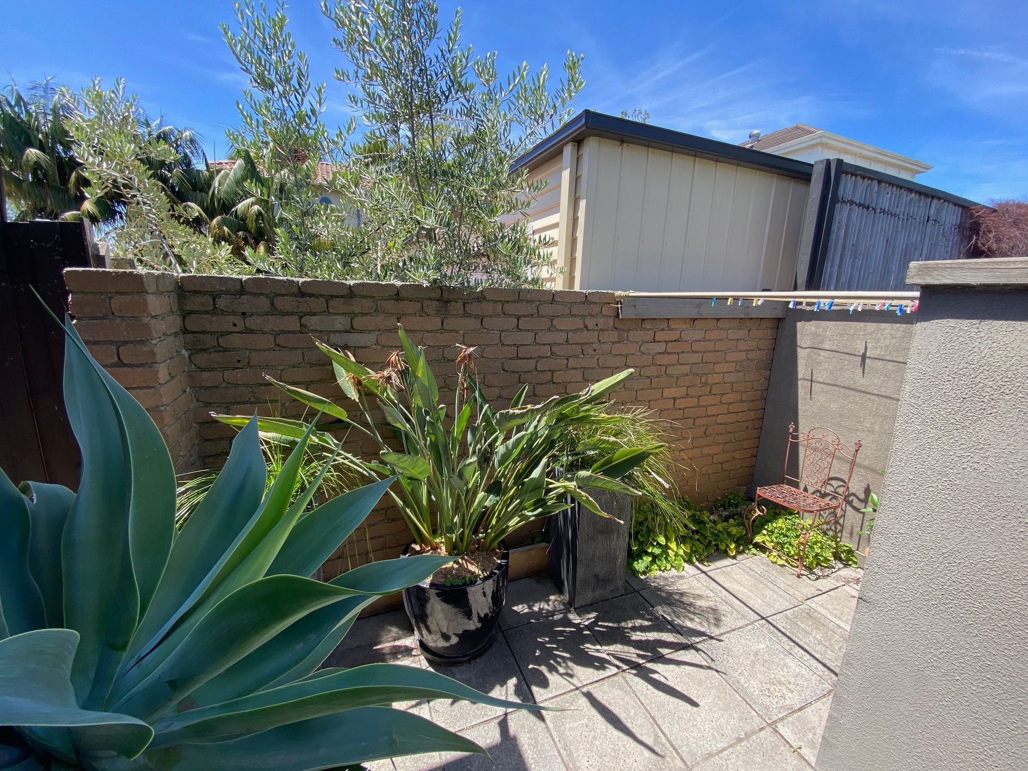 How to build a 3m tall feature wall in a... | Bunnings Workshop community