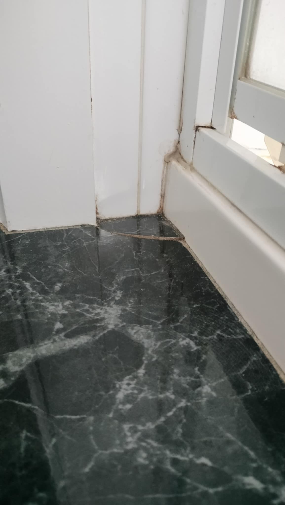 How to fix a cracked bathroom tile? | Bunnings Workshop community