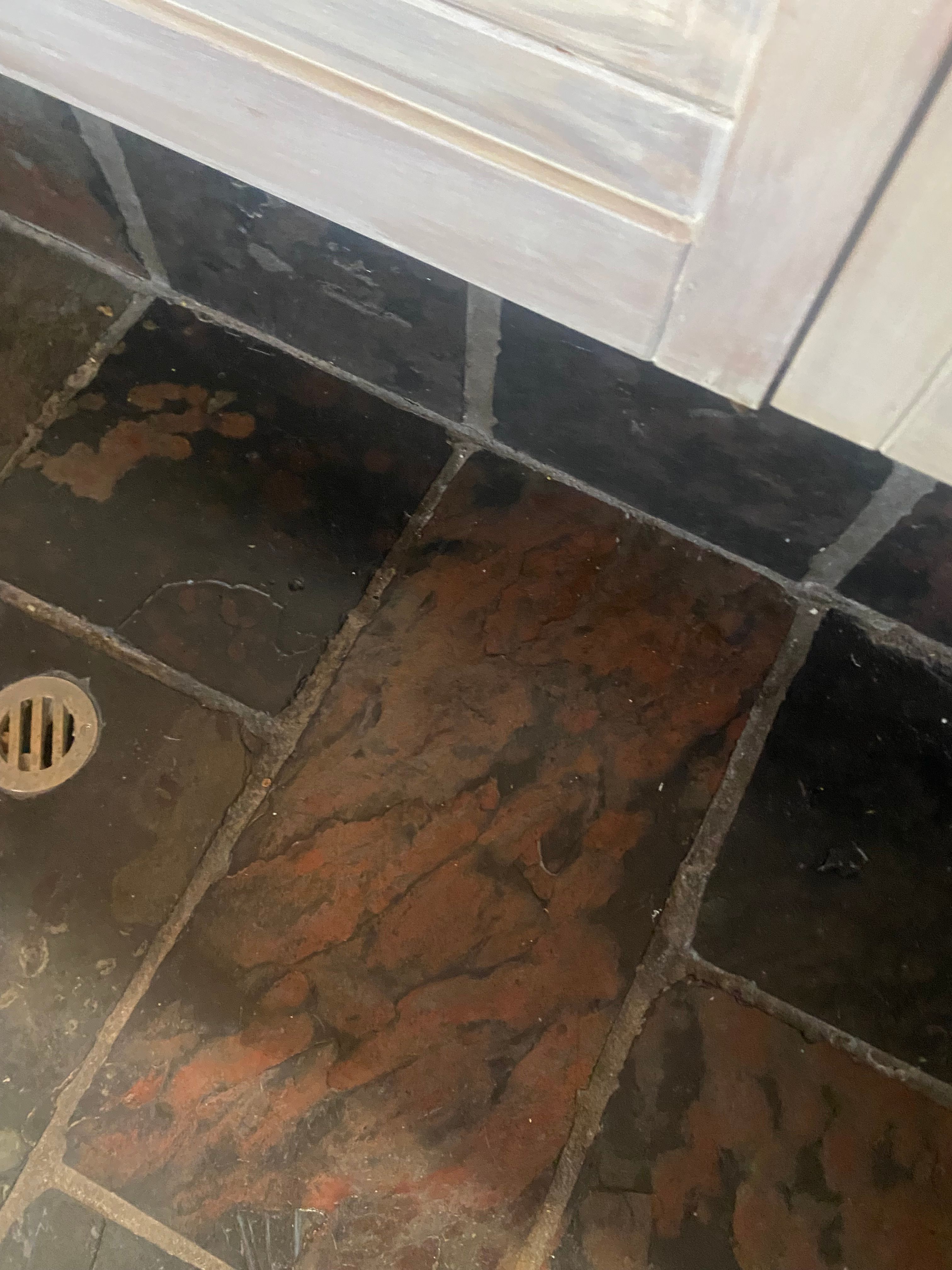 How to clean slate tiles in my shower? | Bunnings Workshop community