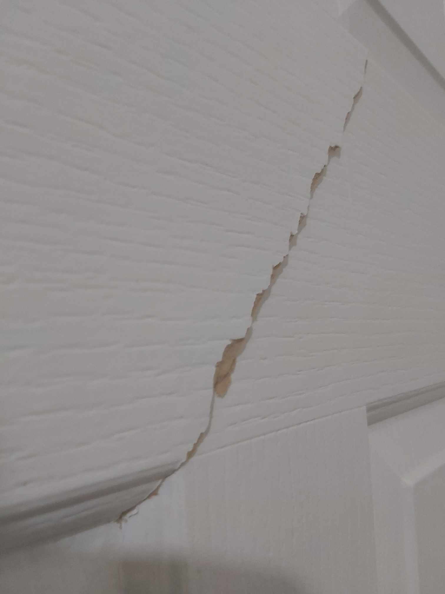 How to fix a big crack on bedroom wood d... | Bunnings Workshop community