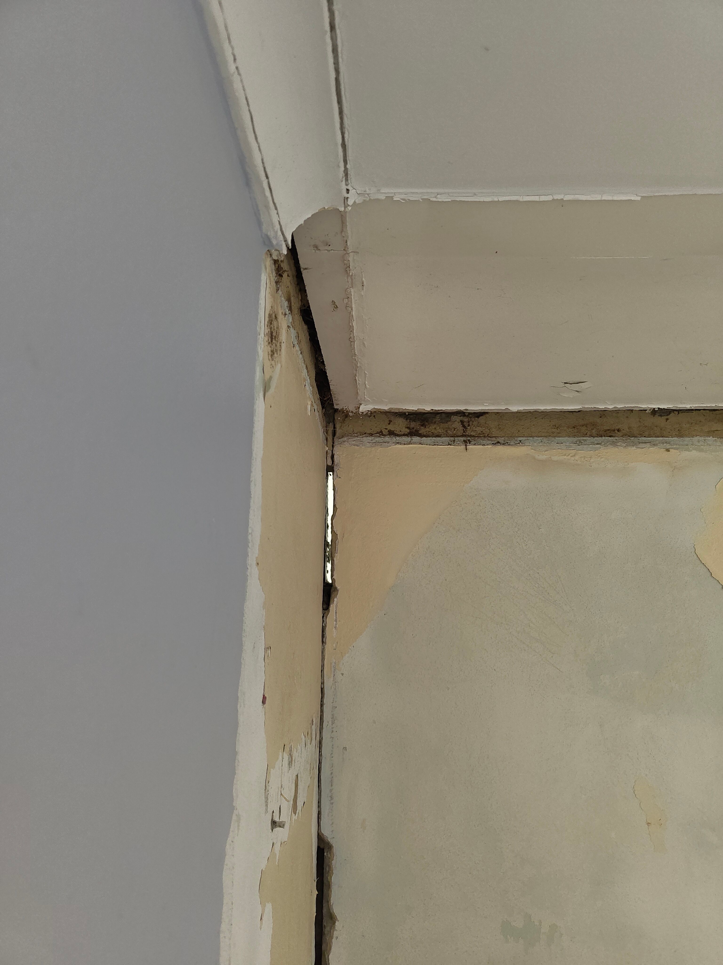 How to repair plaster on concrete walls? | Bunnings Workshop community