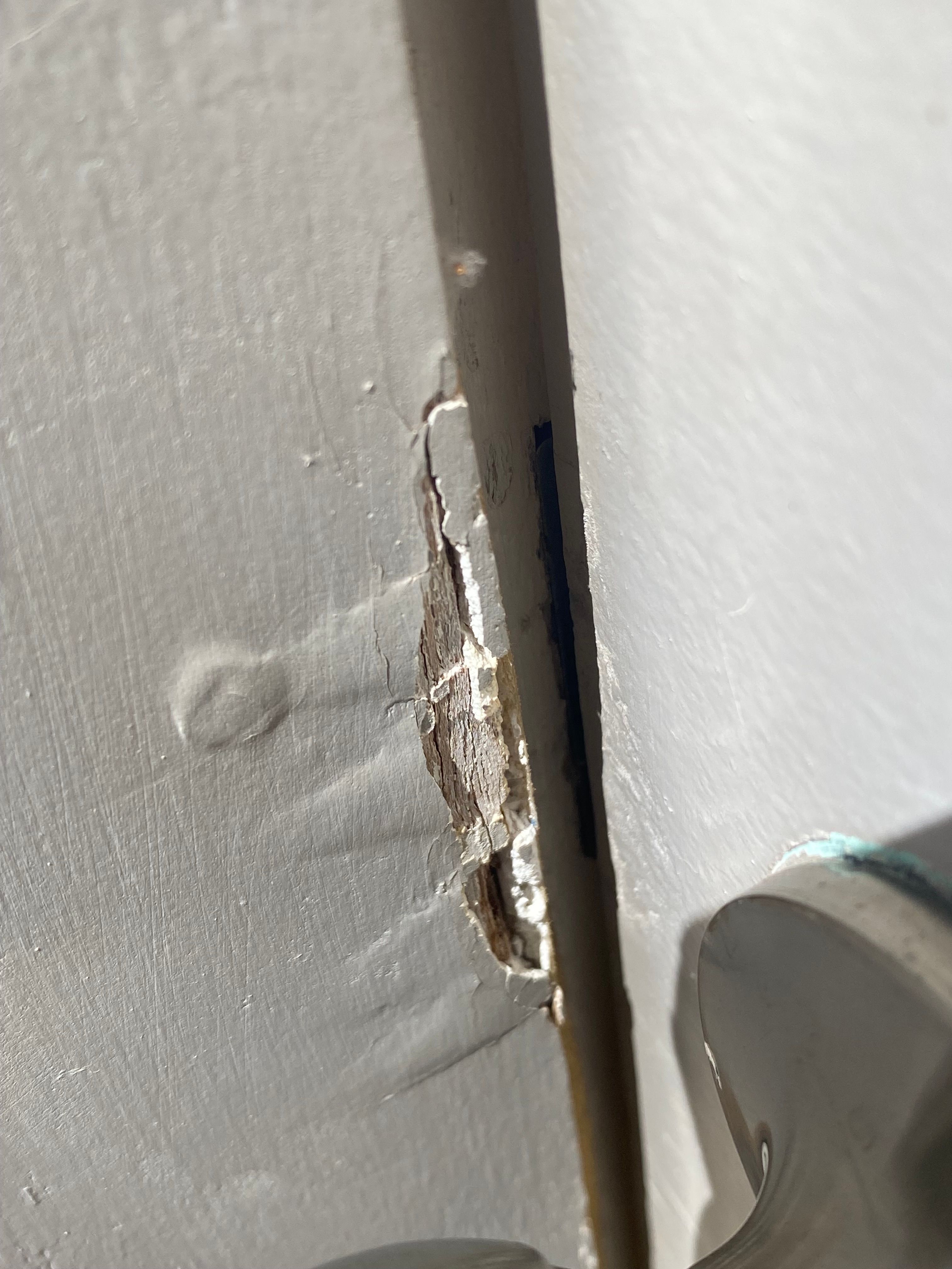 how to fix chipped door frame | Bunnings Workshop community