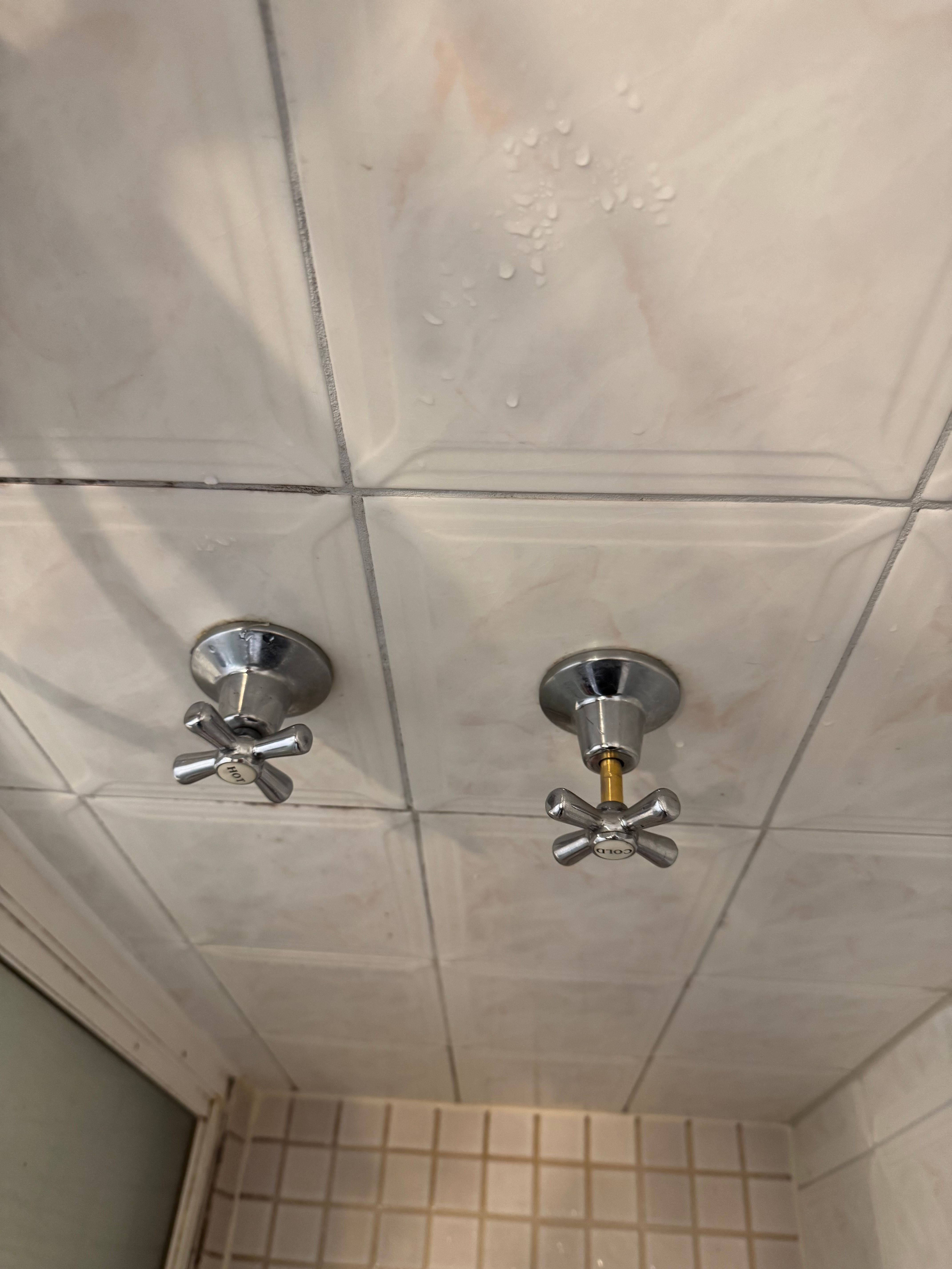 How to fix shower tap that popped off th... | Bunnings Workshop community