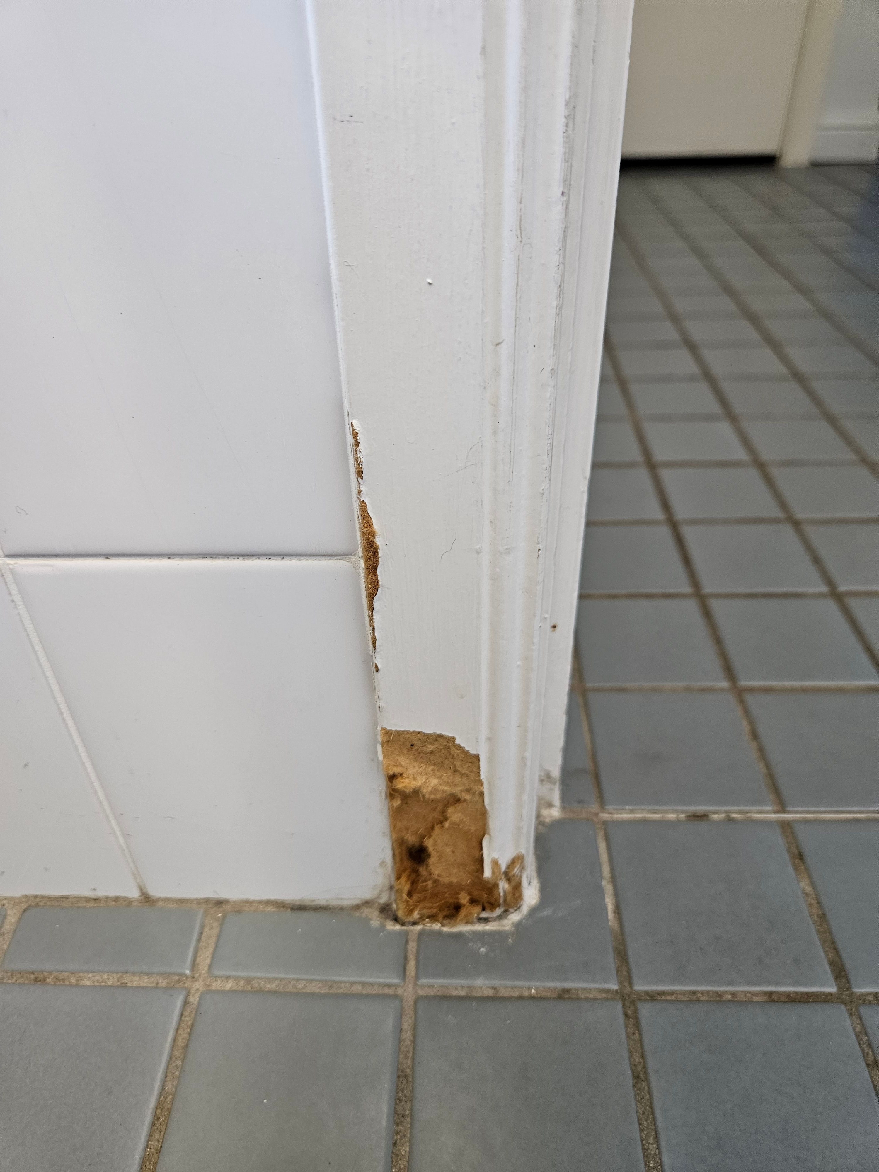How can I repair damaged MDF door frame? | Bunnings Workshop community