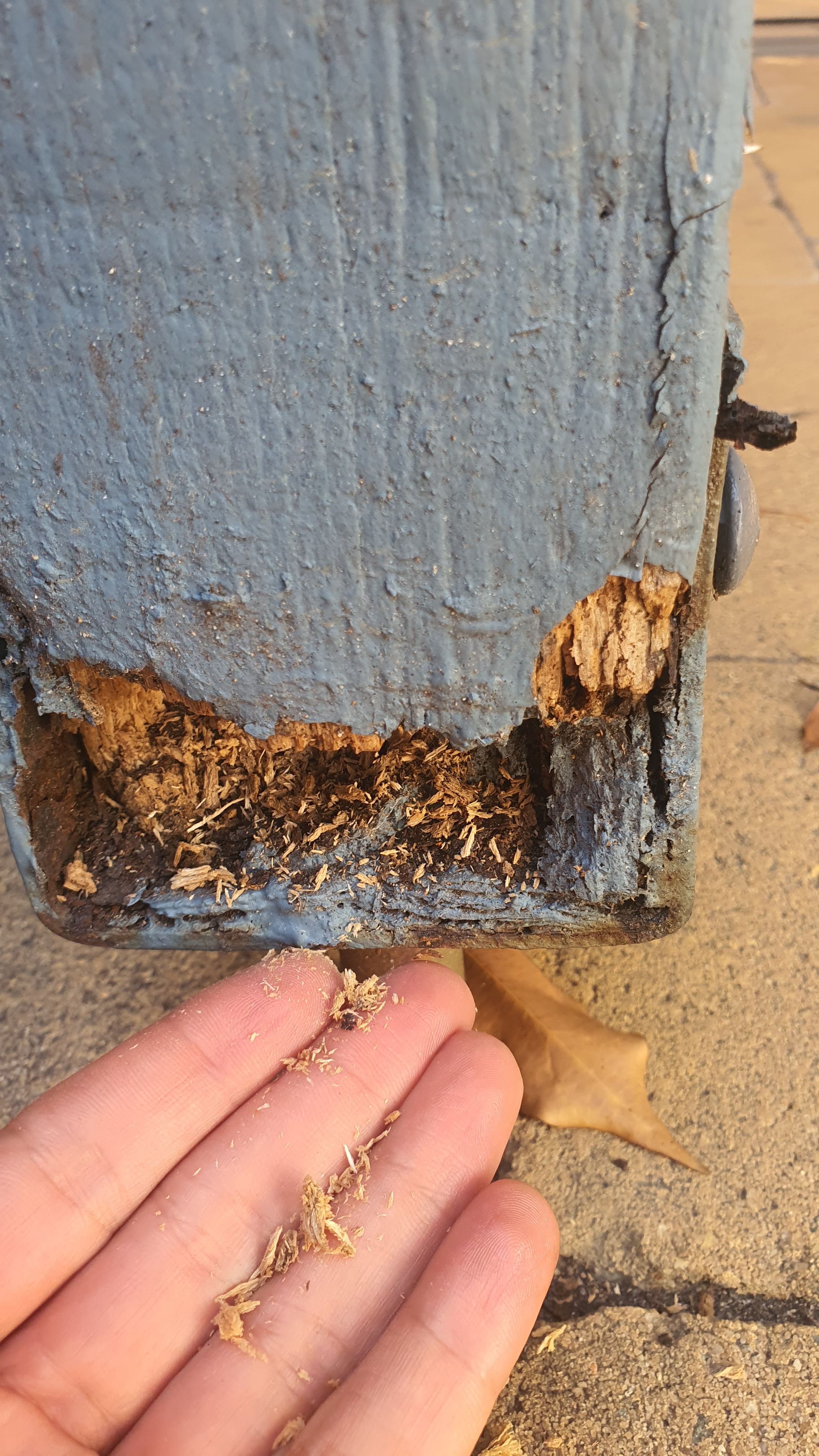 how to fix rotten pole | Bunnings Workshop community